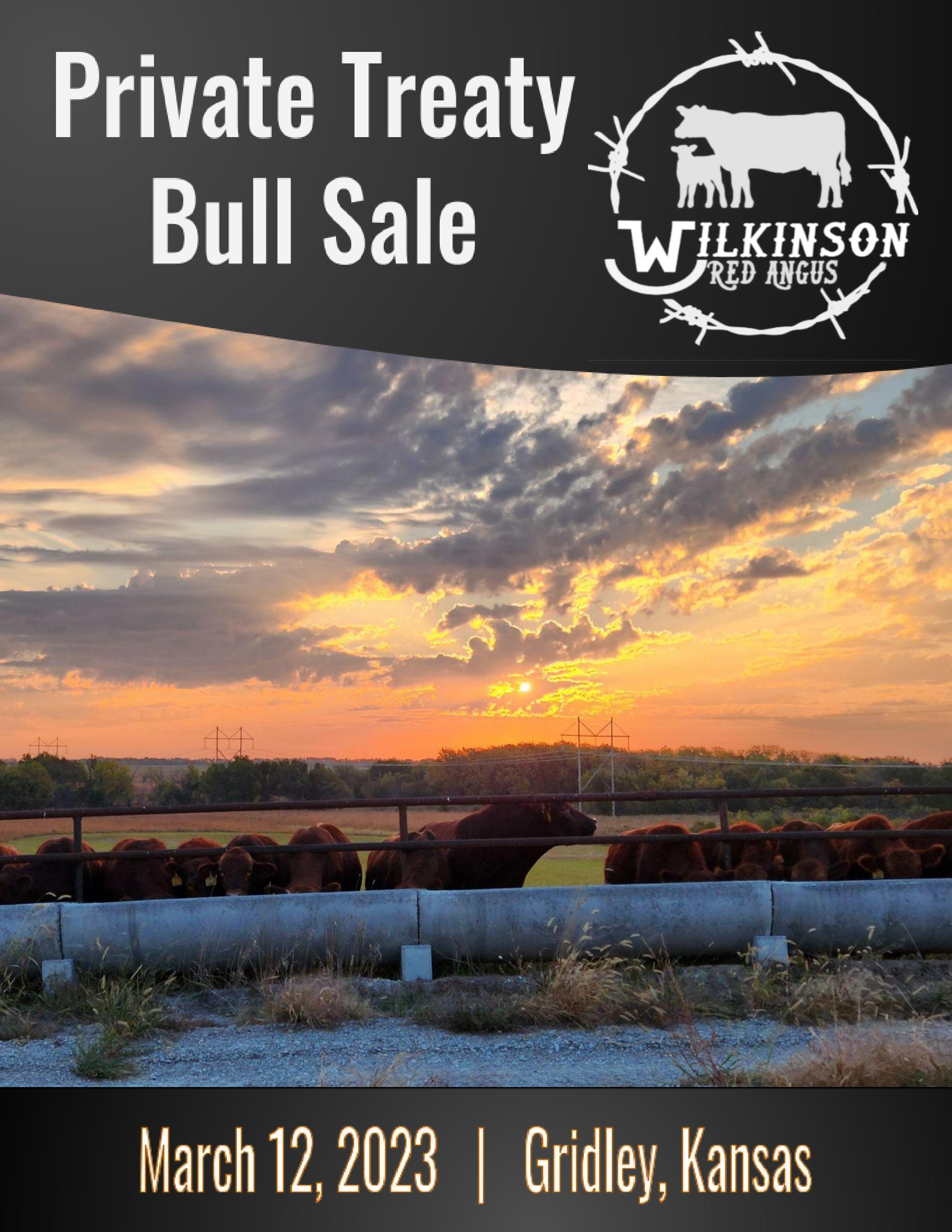 Wilkinson Red Angus - 2023 Spring Catalog by LivestockDirect - Issuu