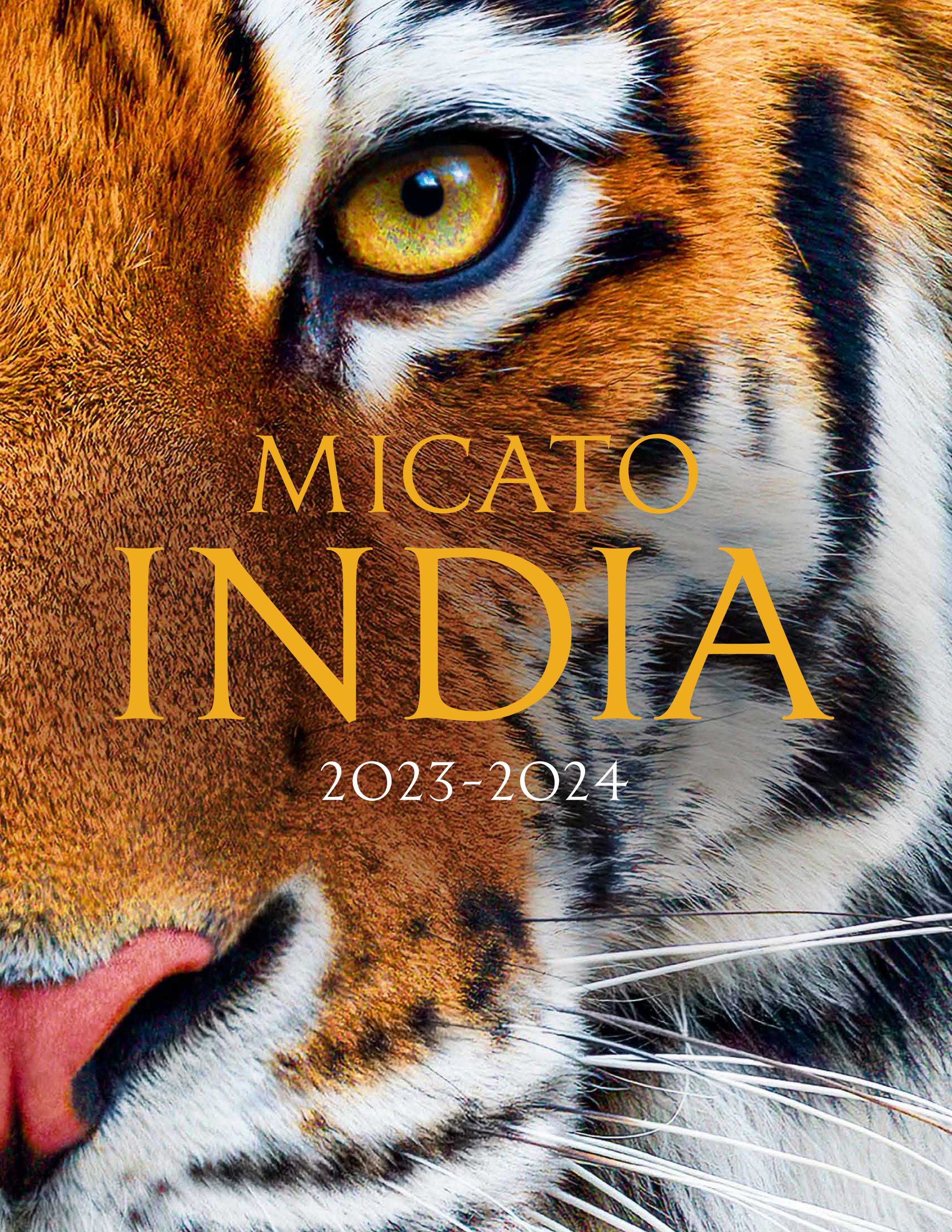 Micato India Brochure 2023-2024 by micato.safaris1 - Issuu