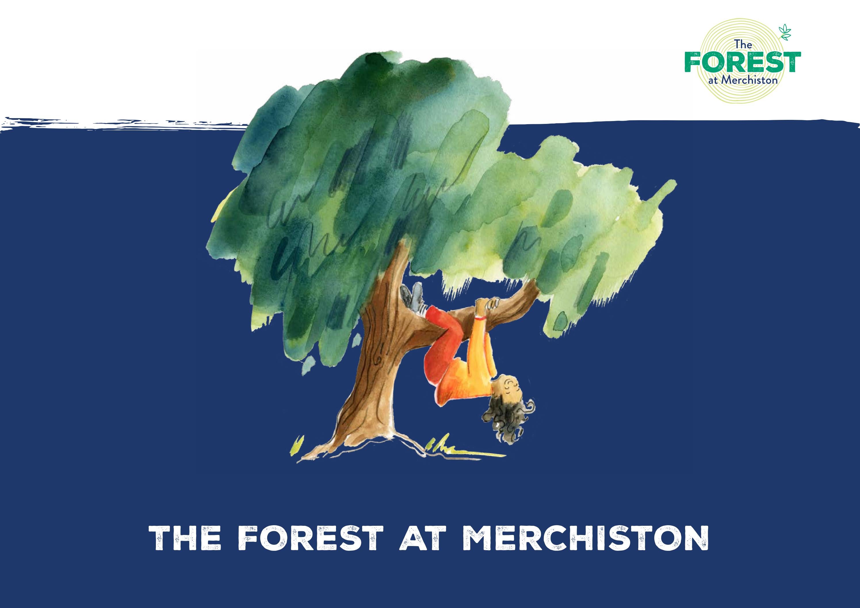 The Forest at Merchiston - Brochure by MerchistonSchoolEdinburgh - Issuu