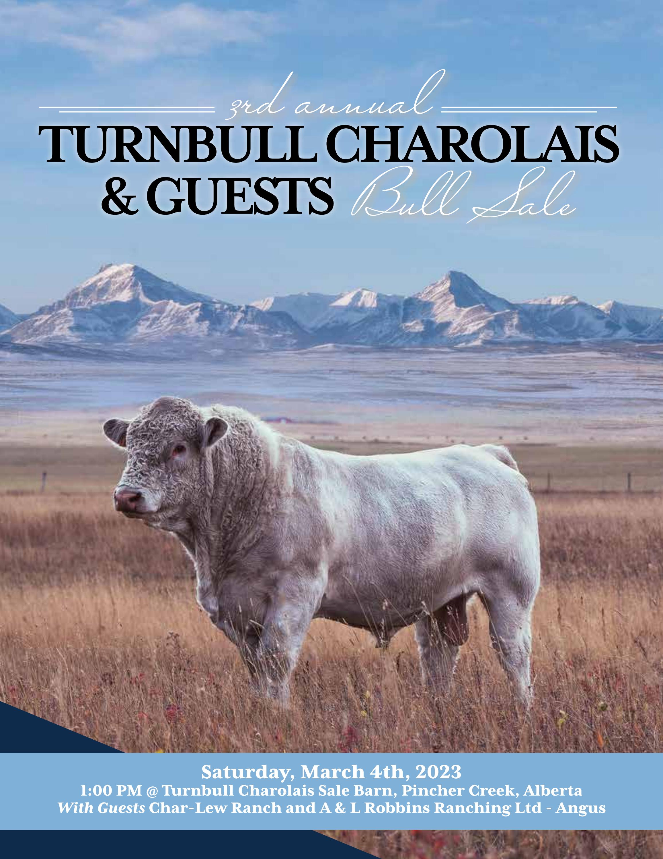 Turnbull Charolais & Guests Char Lew and A&L Robbins Angus by Jon ...