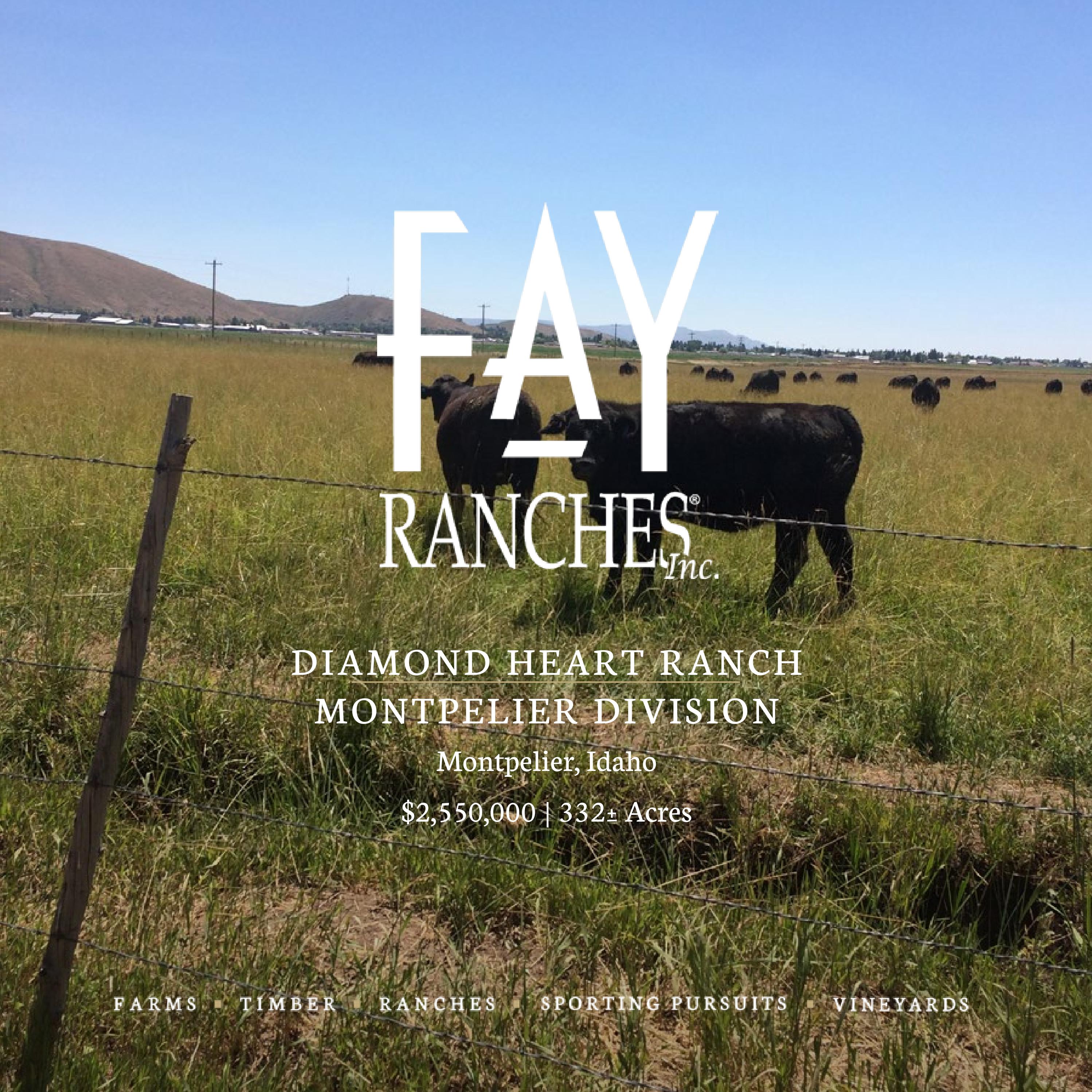 Diamond Heart Ranch | Fay Ranches by Fay Ranches - Issuu