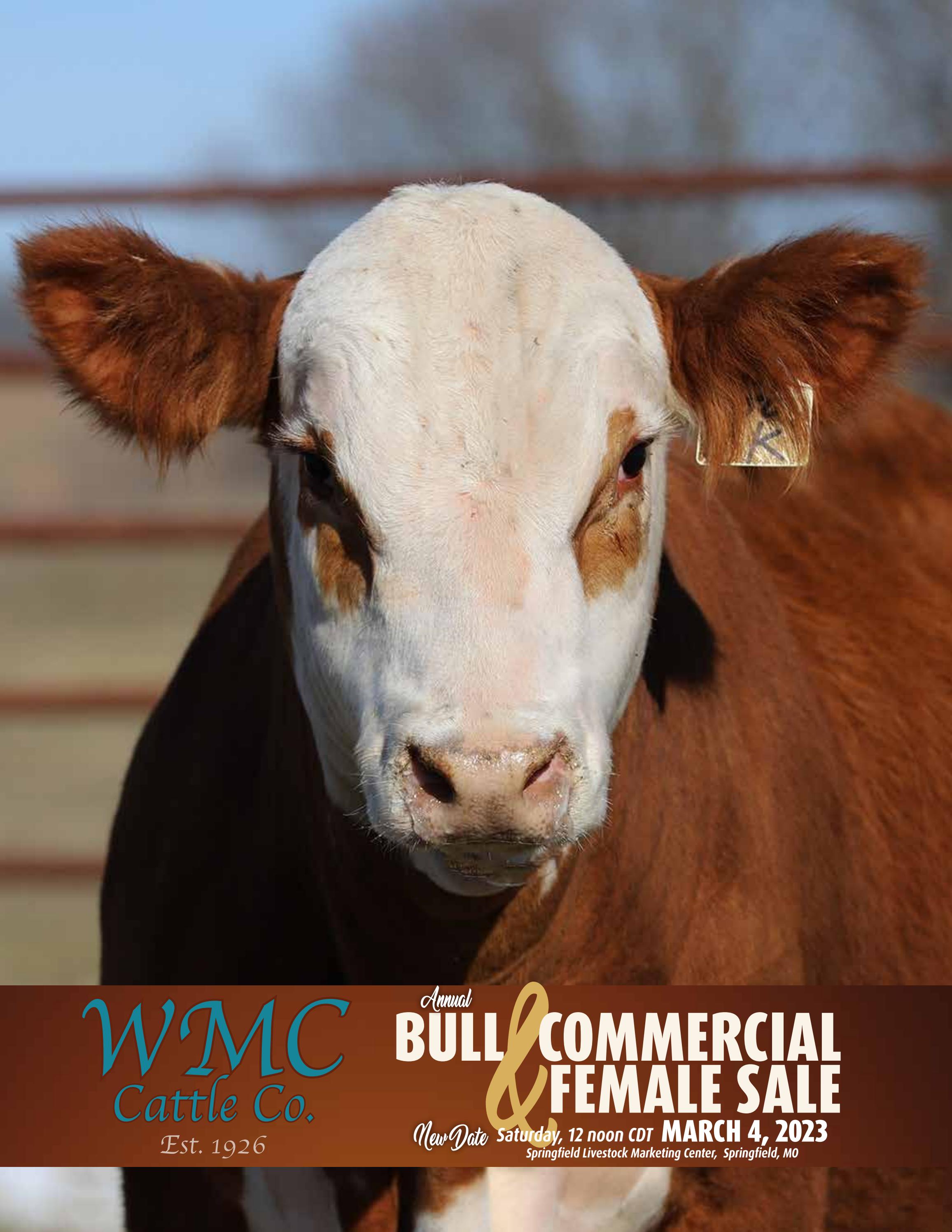 WMC Cattle Bull & Commercial Female Sale by SCI - Stephanie Cronin, INC ...