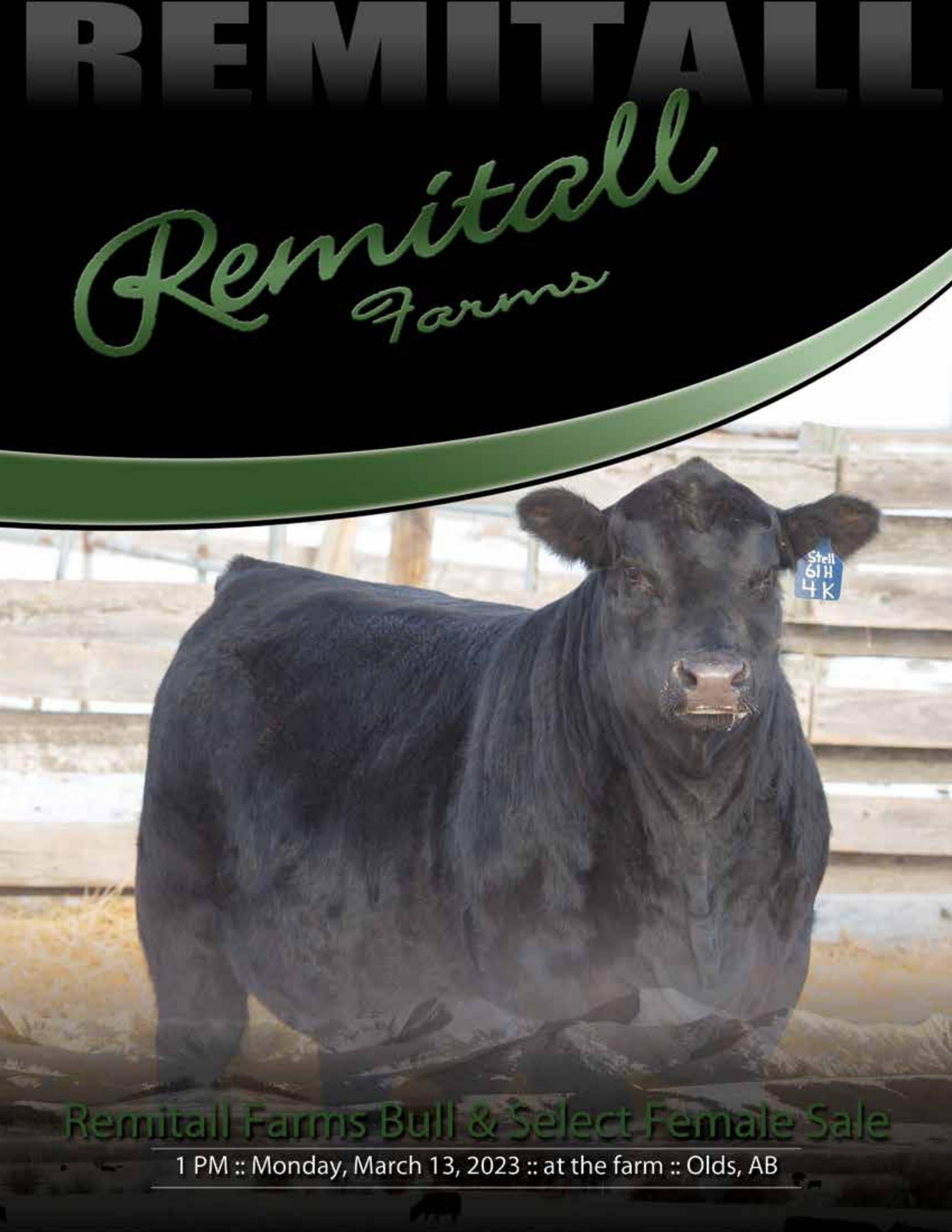 Remitall Farms 11th Annual Bull & Select Female Sale 2023 by Bohrson ...