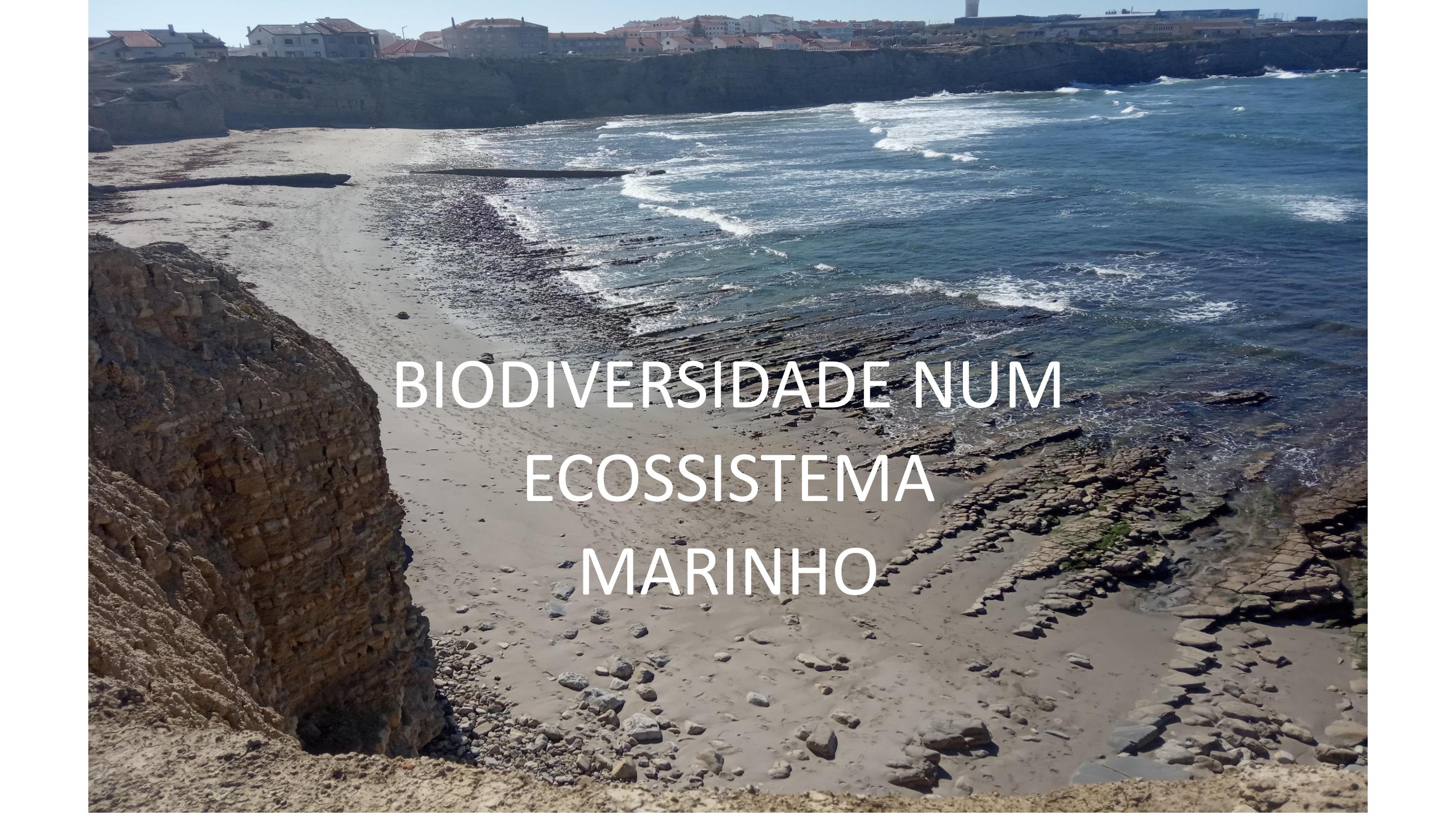 Biodiversidade num Ecossistema Marinho by Maria Leopoldo - Issuu