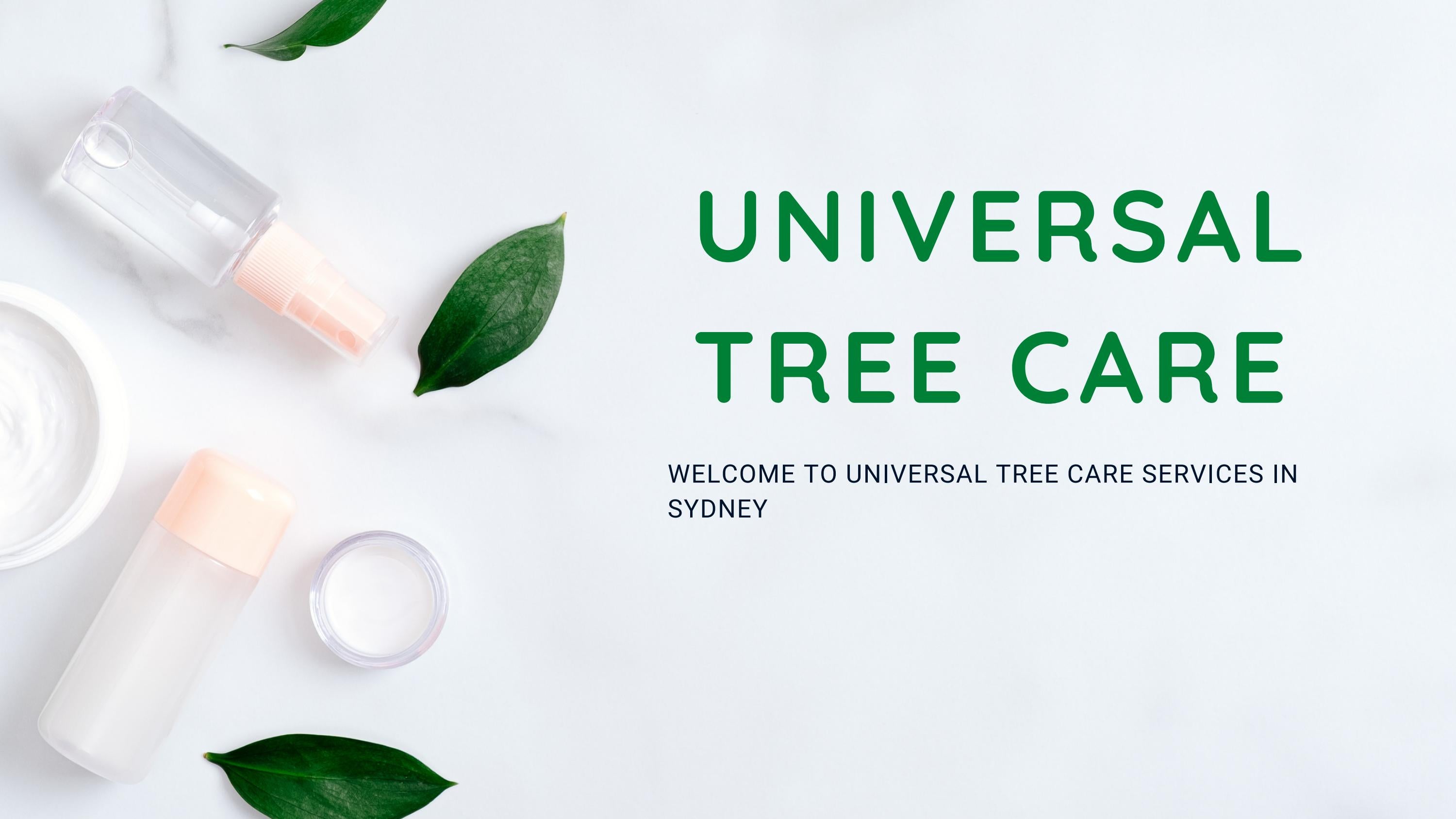 Tree Cutting services in Hunters Hill from Universal Tree Caree by ...