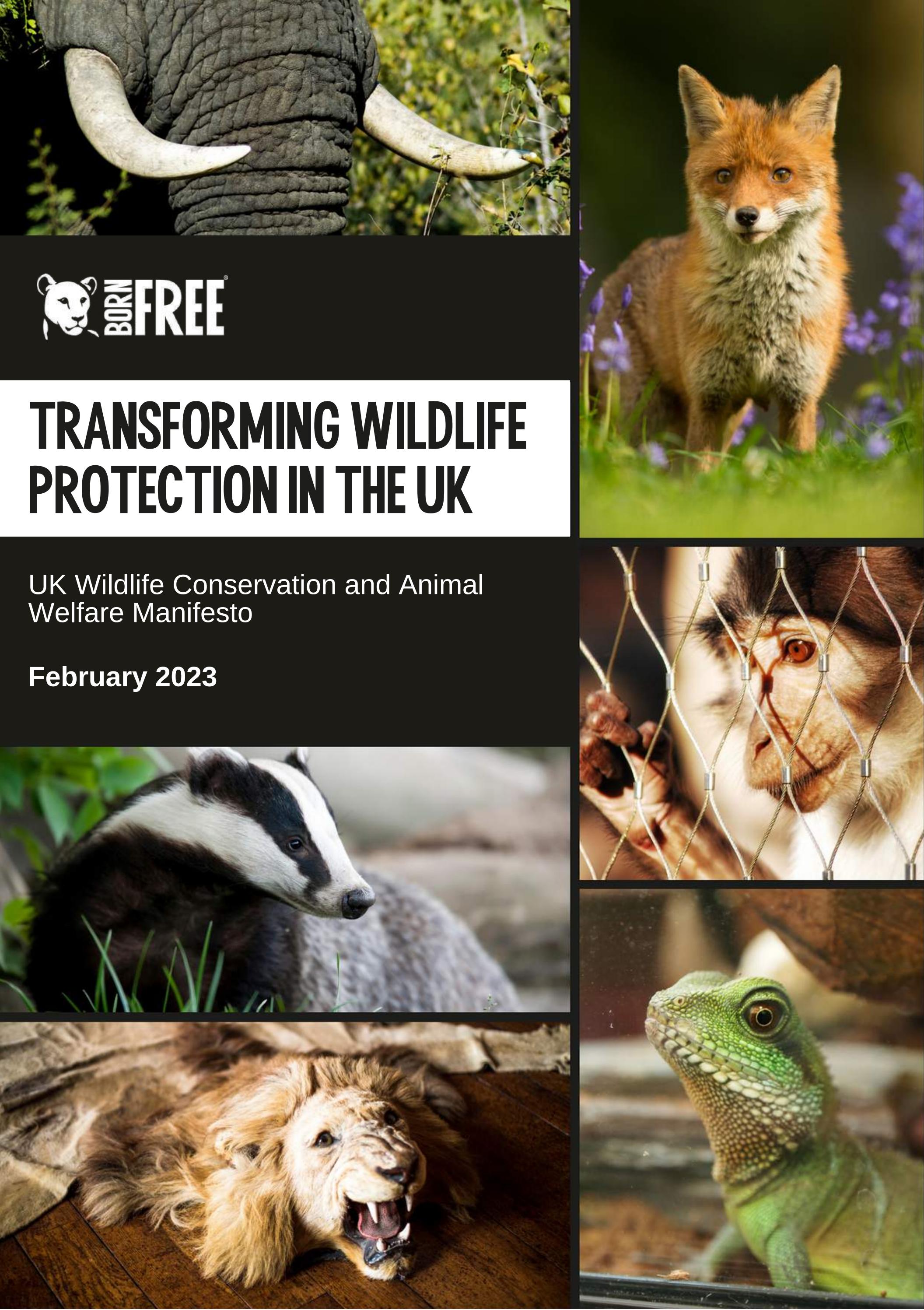 UK Wildlife Conservation and Animal Welfare Manifesto 2023 by BornFree ...