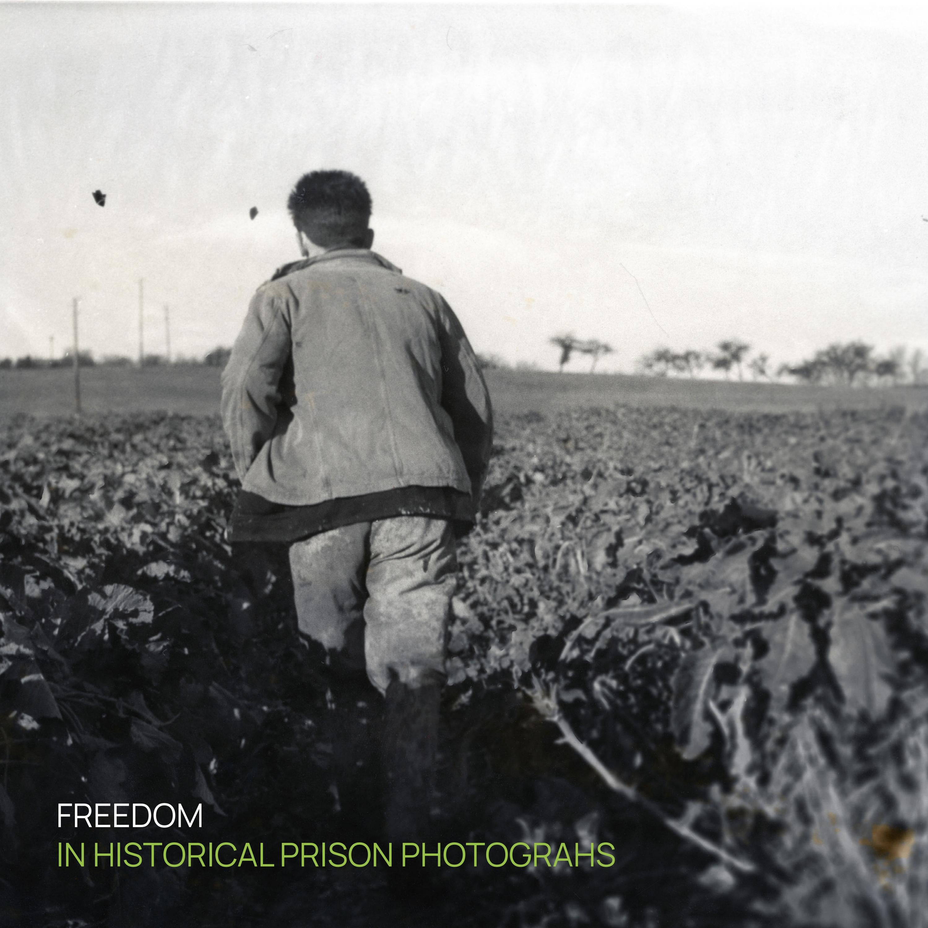 Prison photographs related to Freedom by PDF Uploads - Issuu