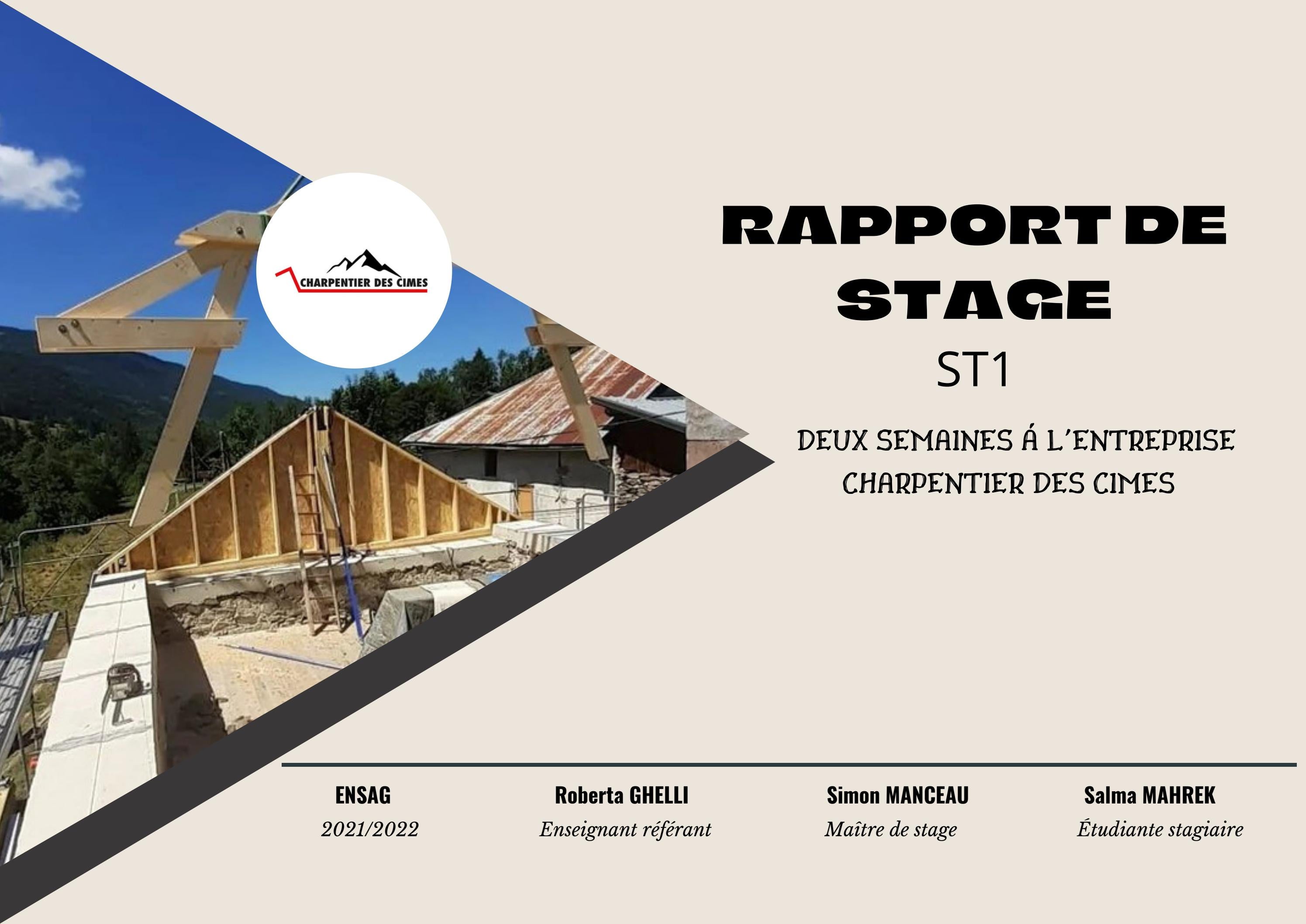 Rapport de Stage par Salma MAHREK (stage de première découverte en ...