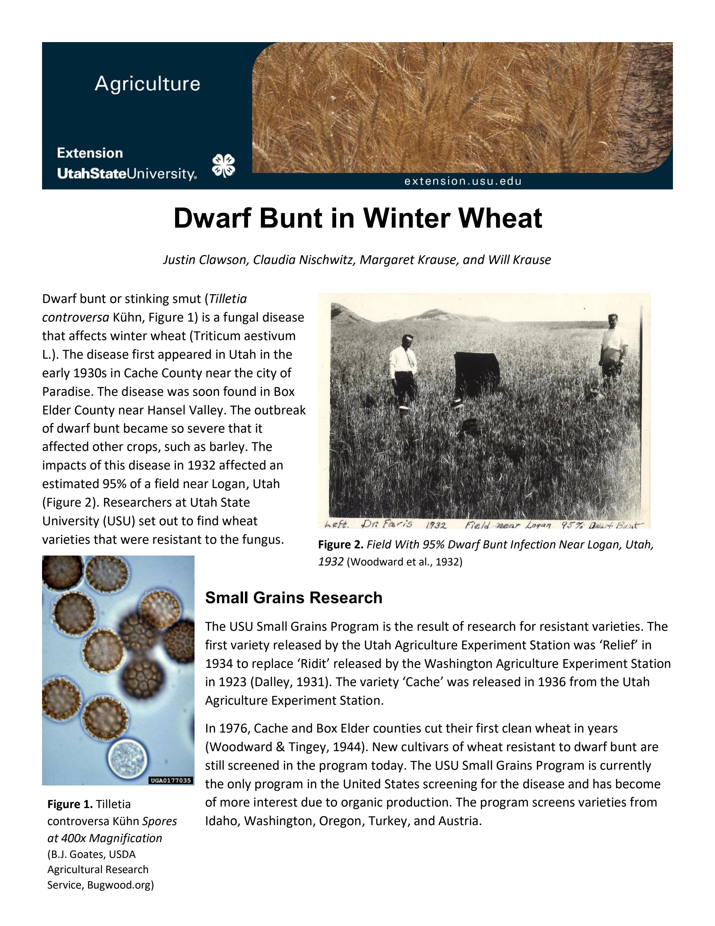 Dwarf Bunt in Winter Wheat by Utah State University Extension - Issuu