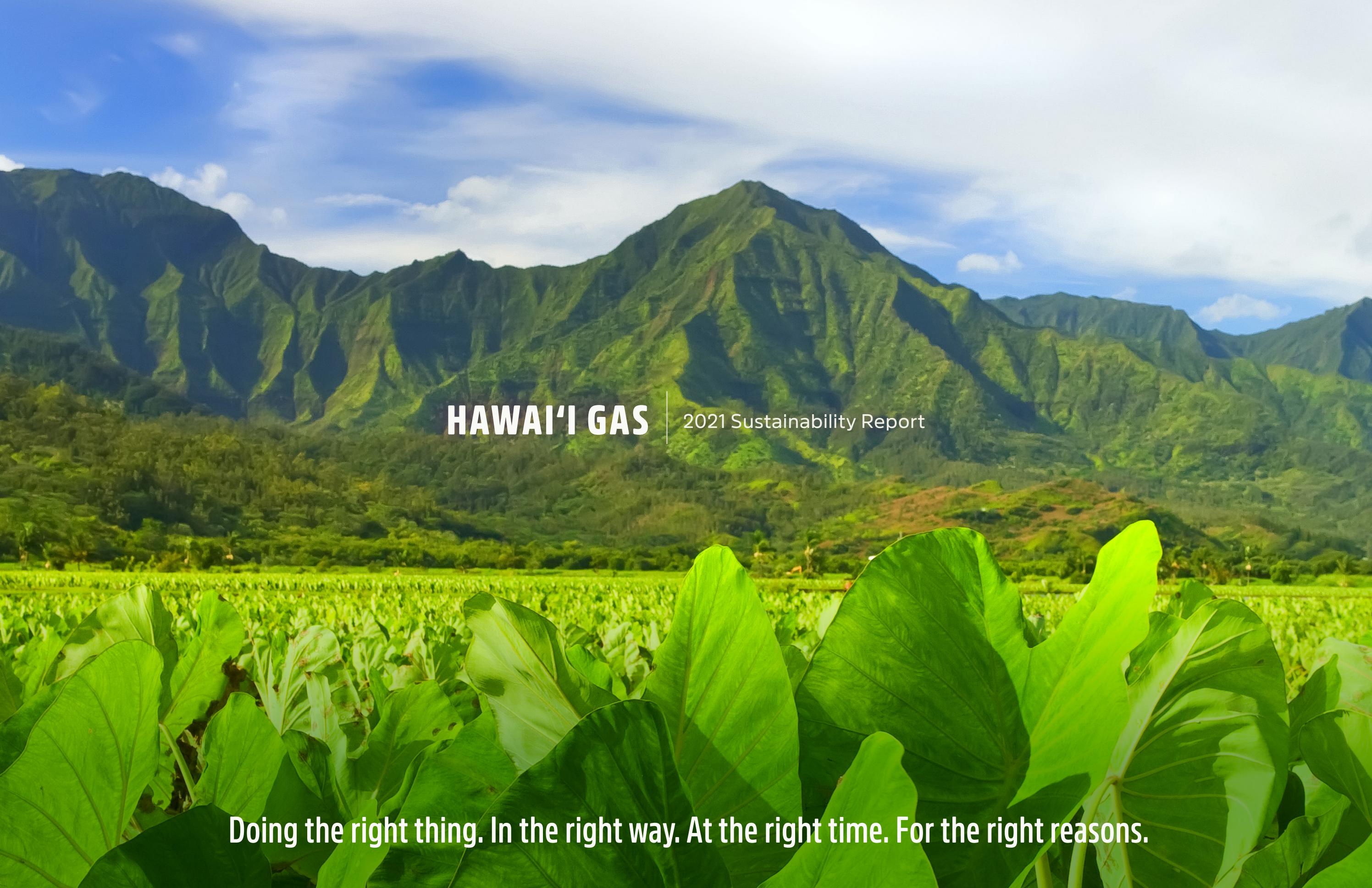HAWAI‘I GAS | 2021 Sustainability Report by hawaiigas5 - Issuu
