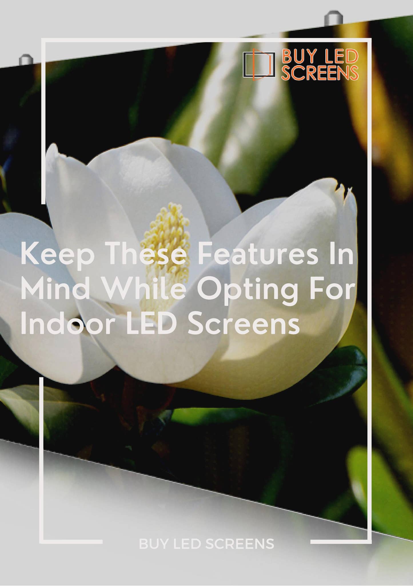 Keep These Features In Mind While Opting For Indoor LED Screens by Buy ...
