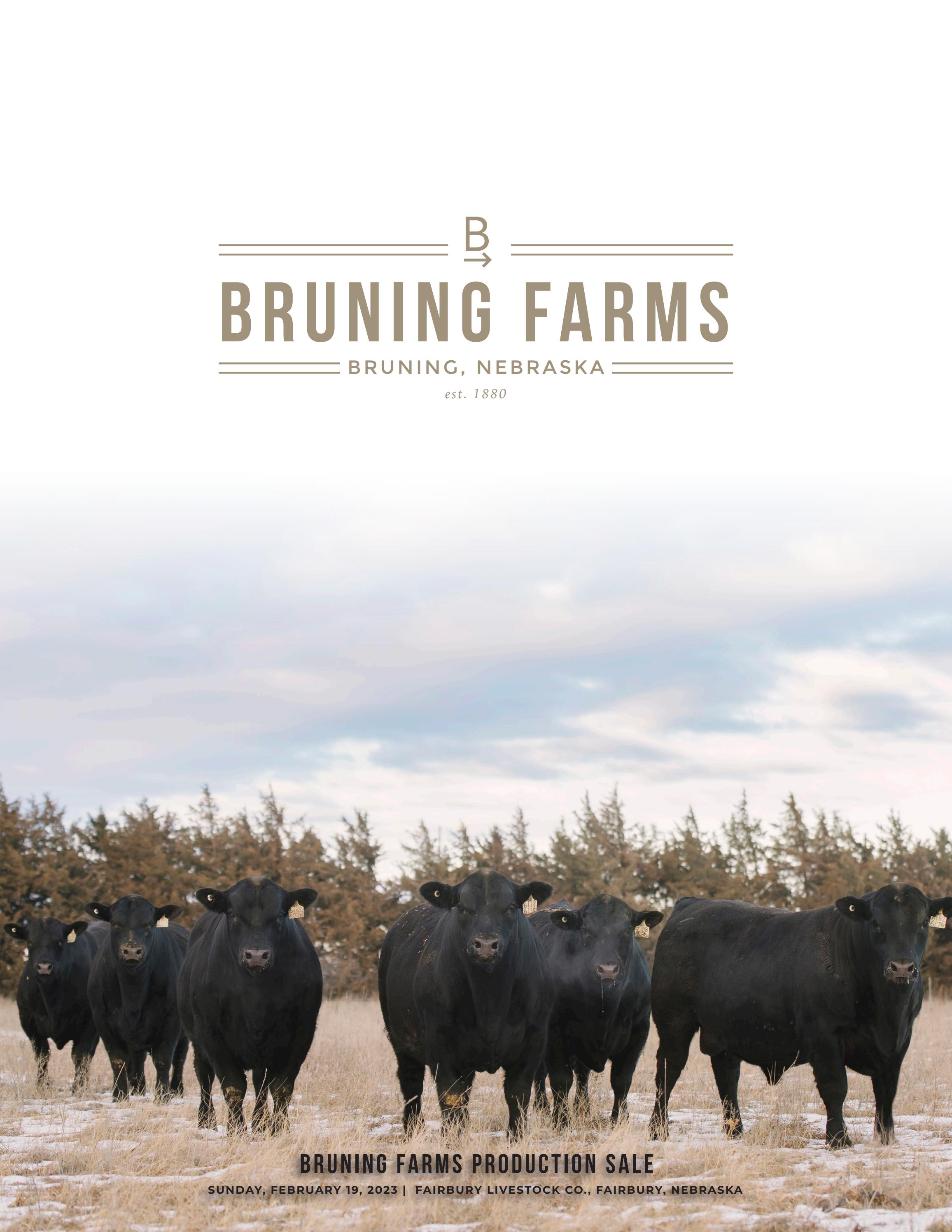 Bruning Farms 2023 Production Sale Catalog by Bruning Farms - Issuu
