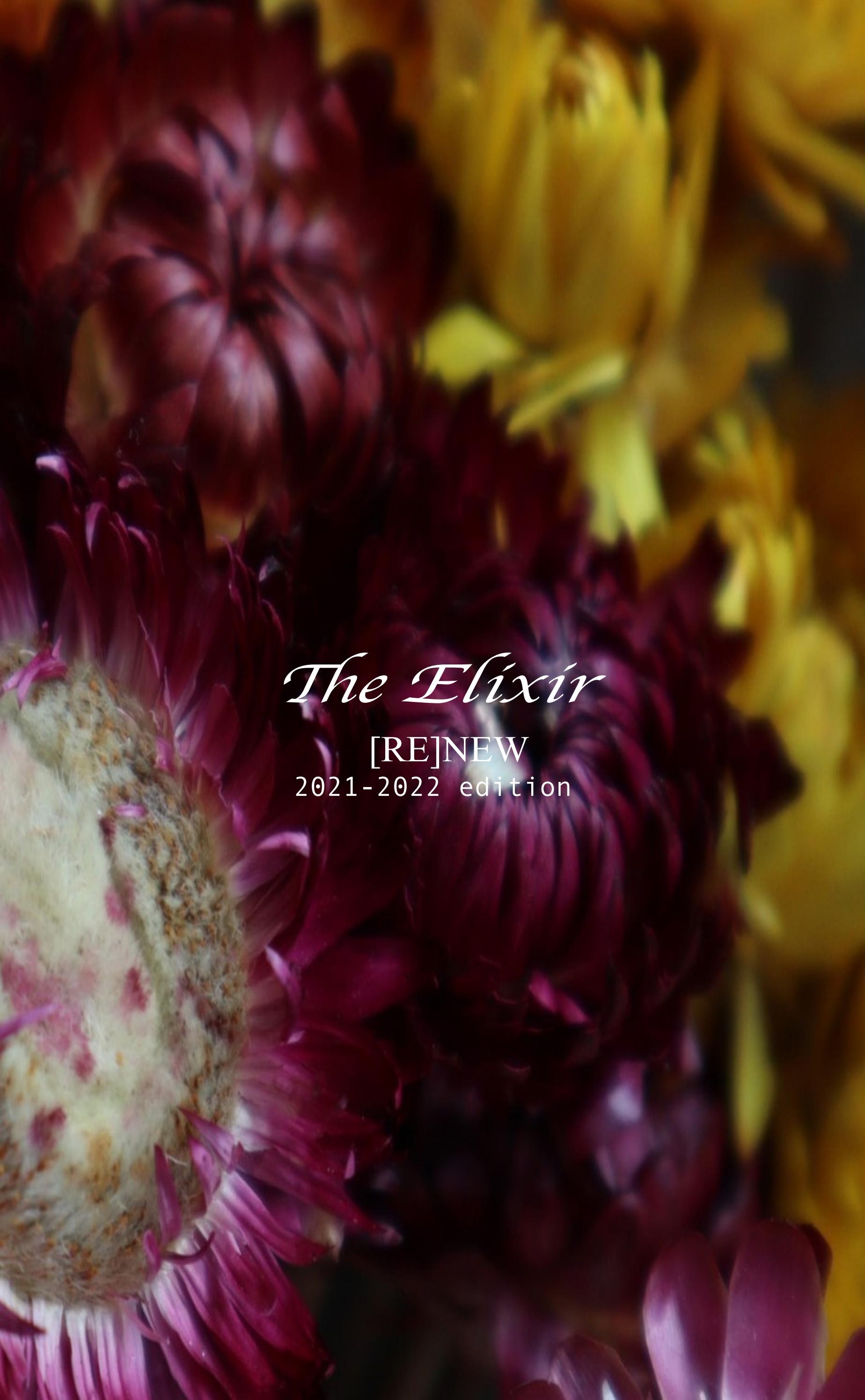 The Elixir Literary Magazine 2022 by Brenau Elixir - Issuu