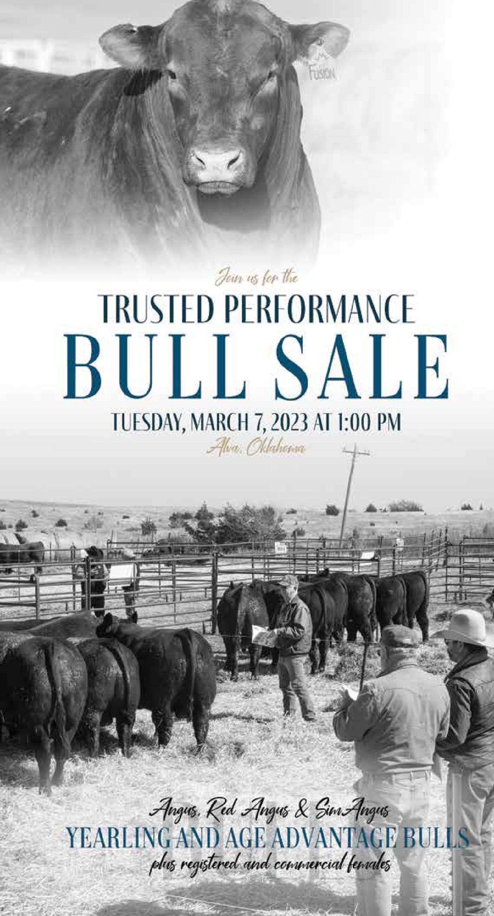 The Trusted Performance Bull Sale by Tracy McMurphy - Issuu