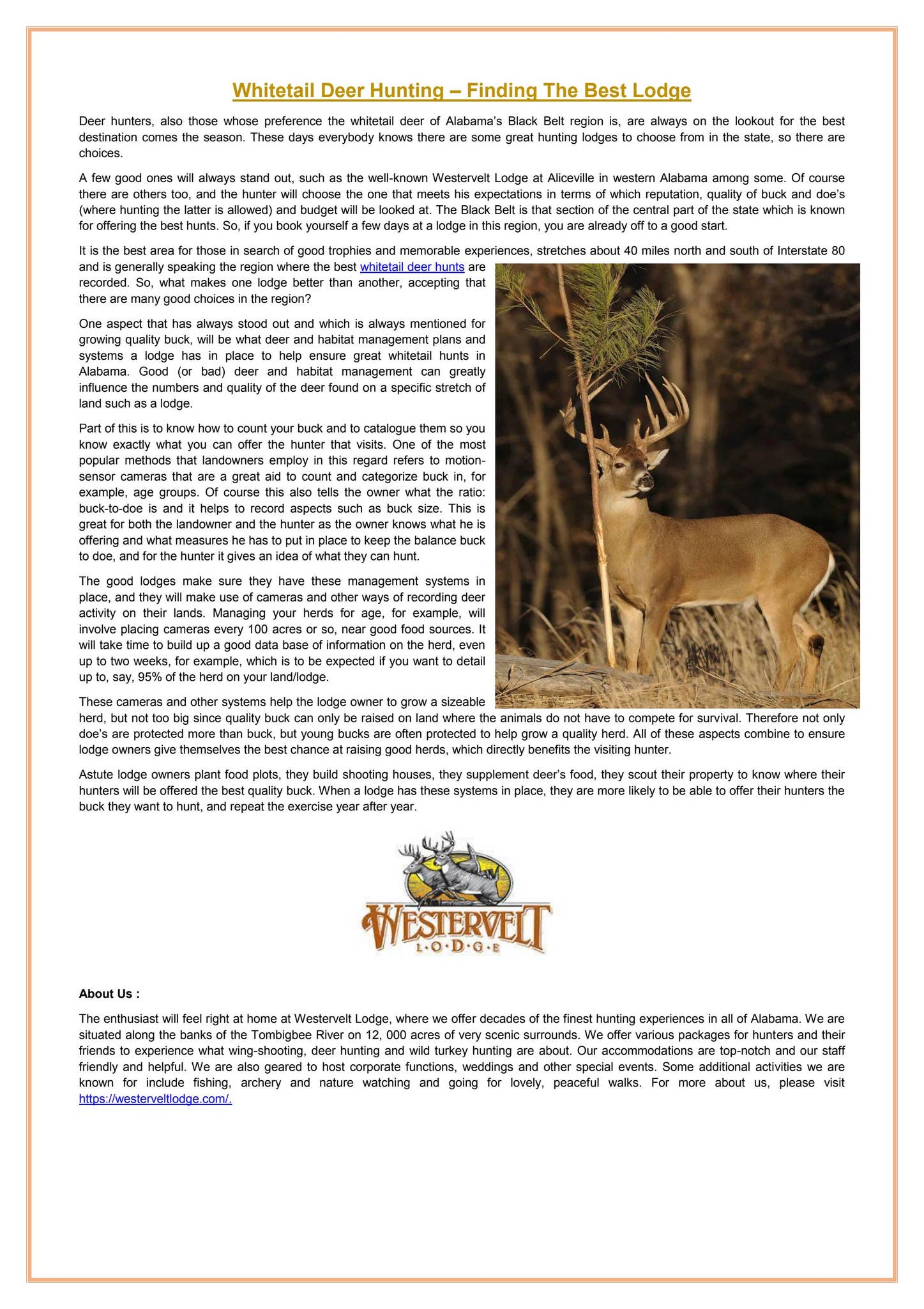 Whitetail Deer Hunting – Finding The Best Lodge by Westervelt Lodge - Issuu
