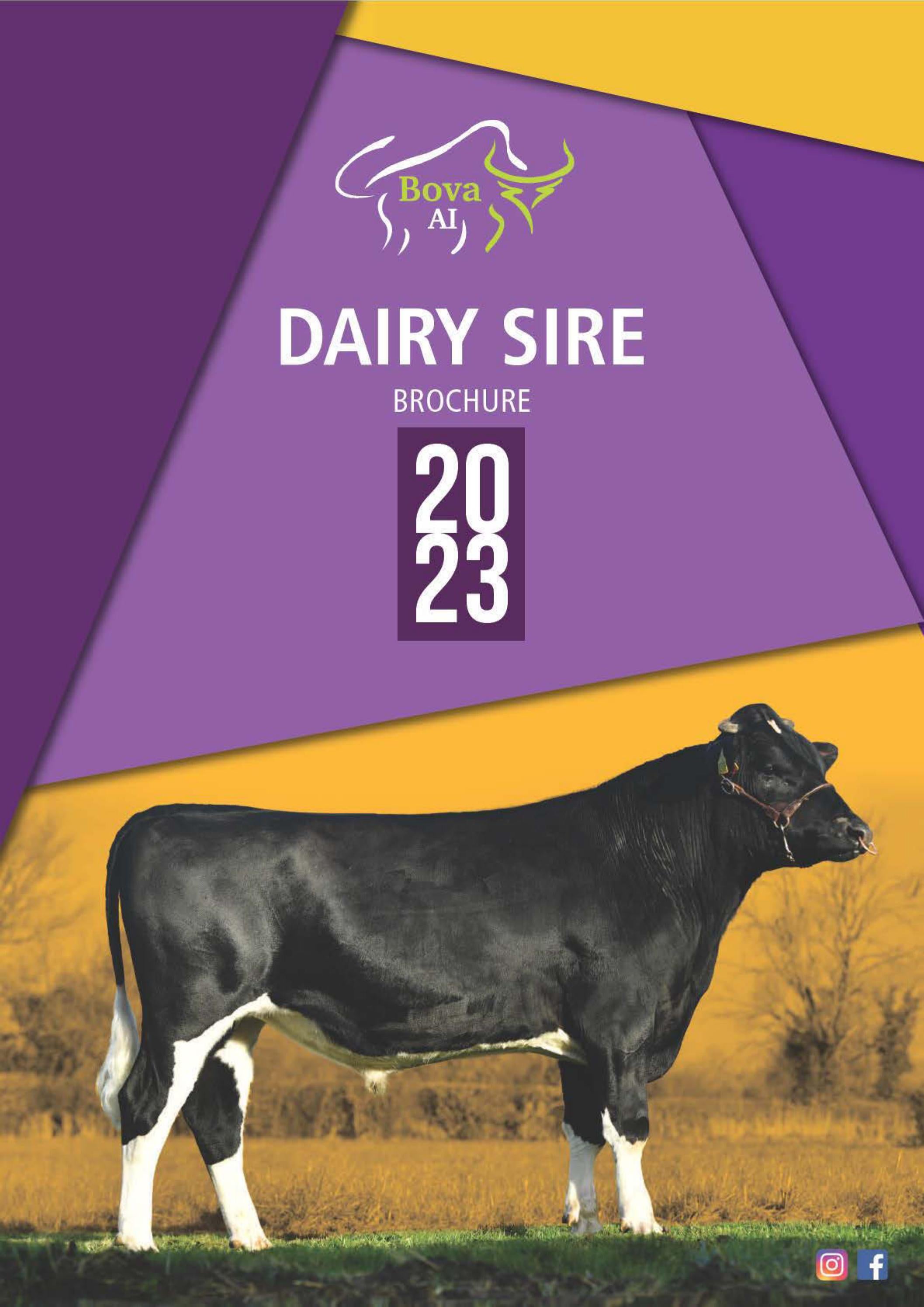 Bova AI Dairy Sire Brochure 2023 by Michael O' Neill - Issuu