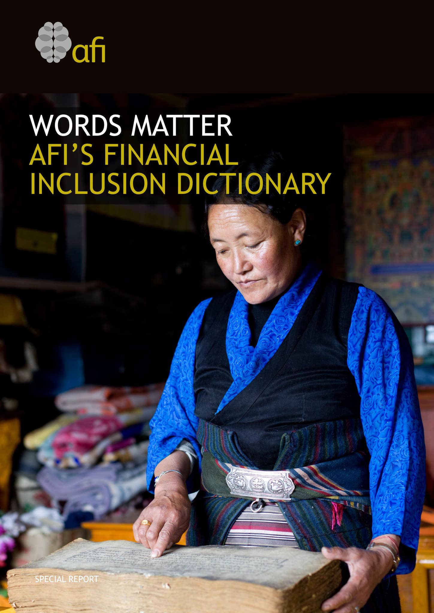 Words Matter - AFI's Financial Inclusion Dictionary by Alliance for ...