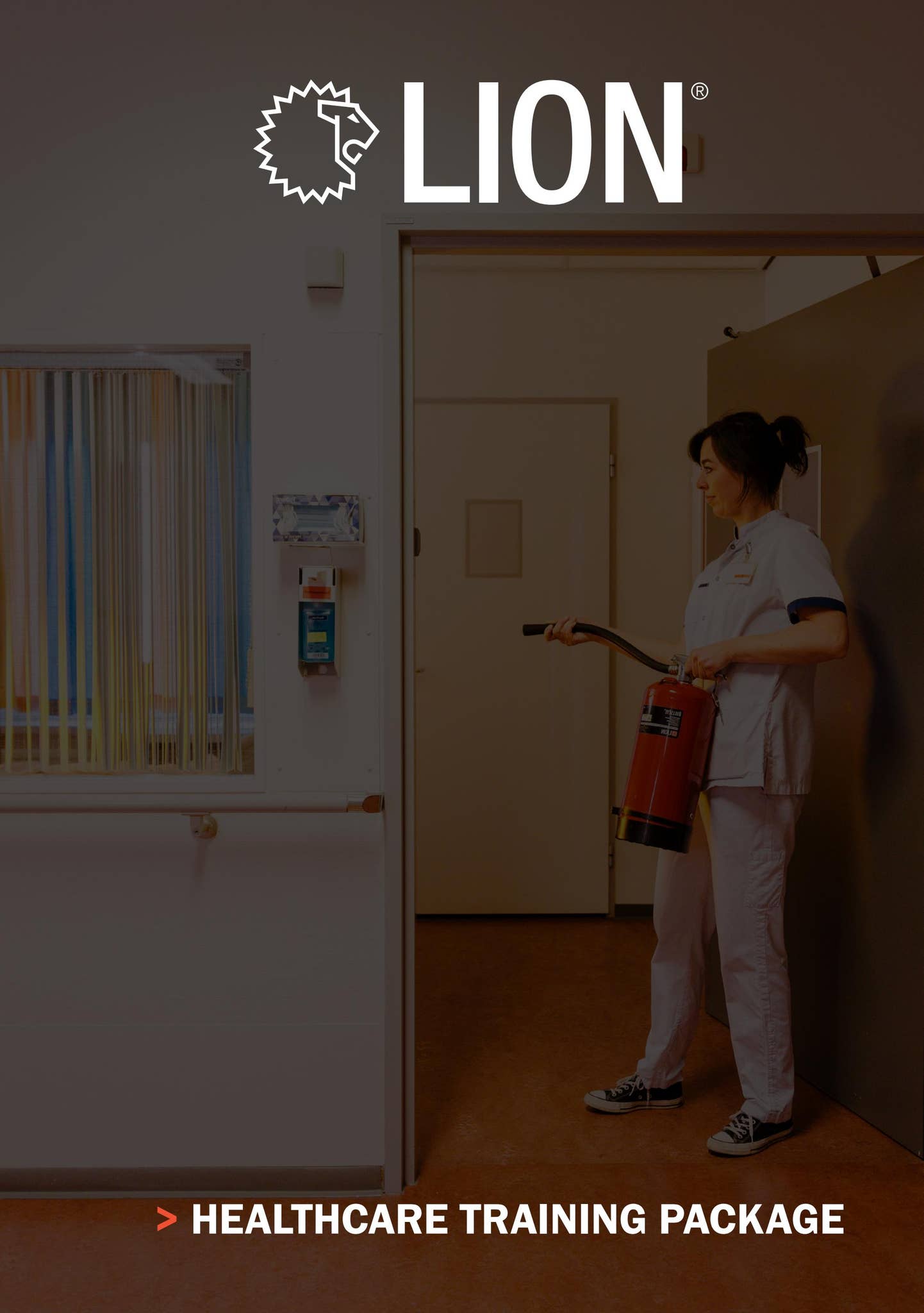 LION - Healthcare Training Package by LION (for EMEA territiores) - Issuu