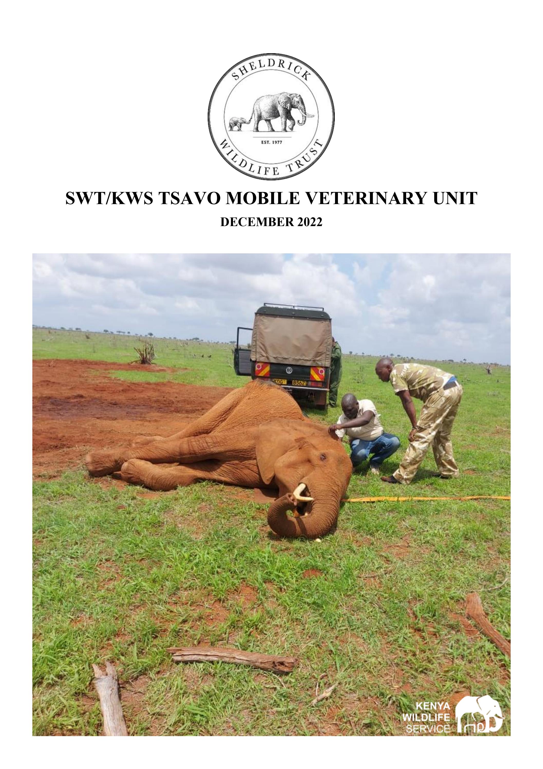 SWT/KWS Tsavo Mobile Veterinary Report for December 2022 by Sheldrick ...