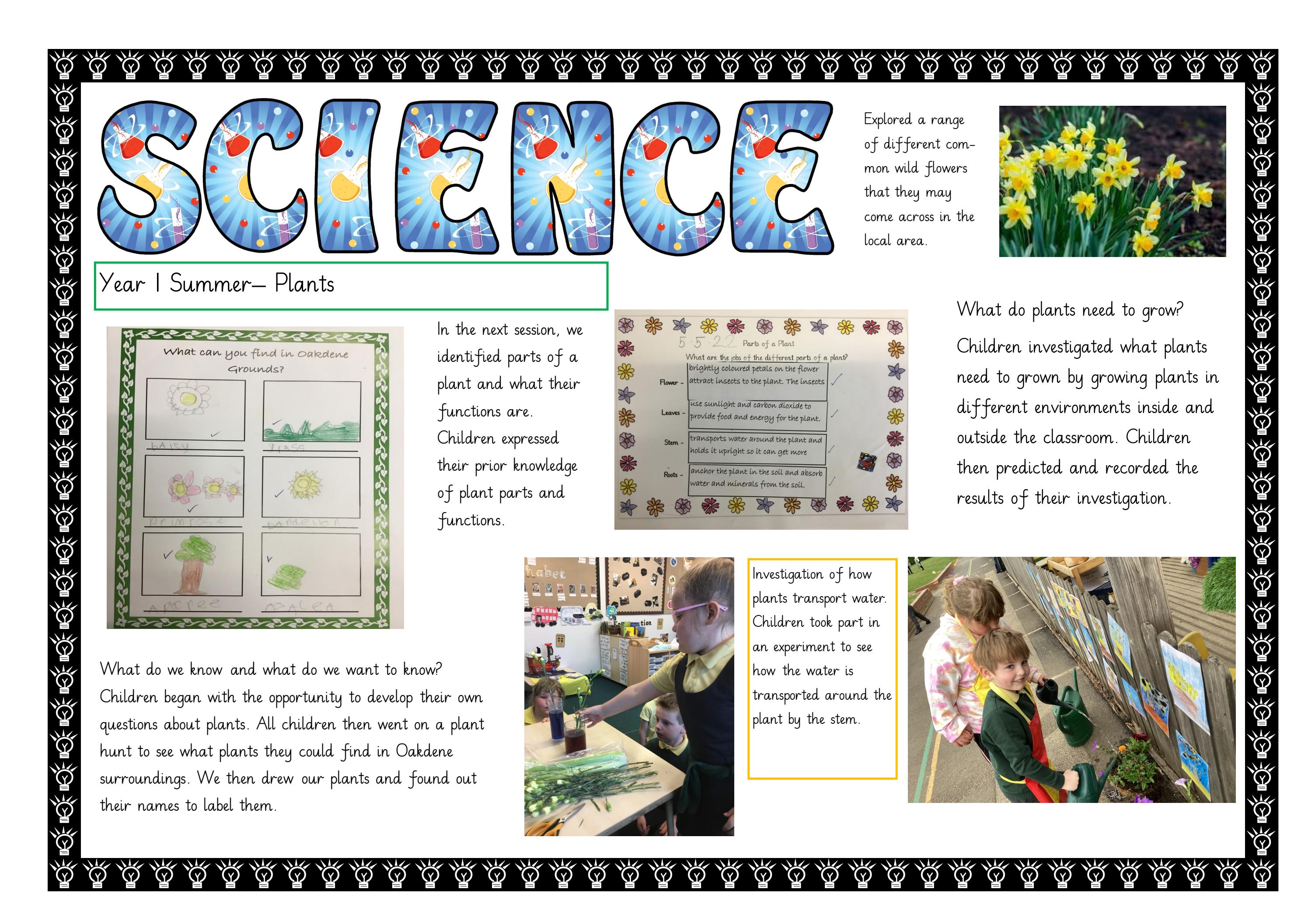 Science Topic Summaries by Schudio - Issuu