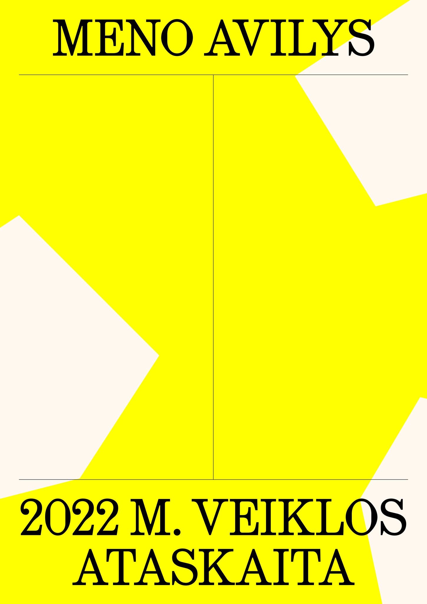MENO AVILIO 2022 metų veiklos ataskaita by Meno Avilys - Issuu