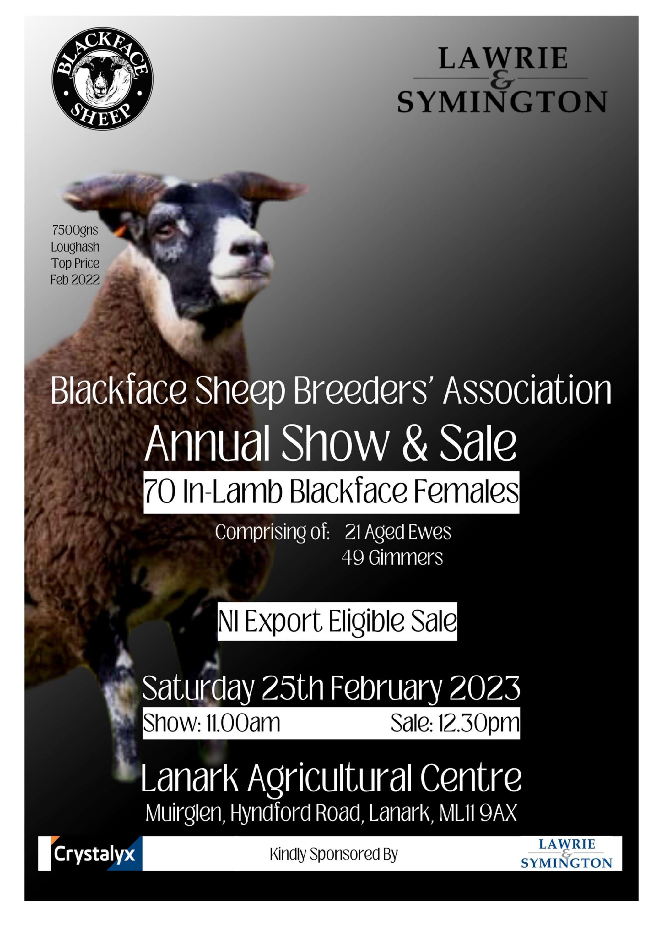LANARK: BSBA In-Lamb Show & Sale 250223 by lawrie-and-symington - Issuu