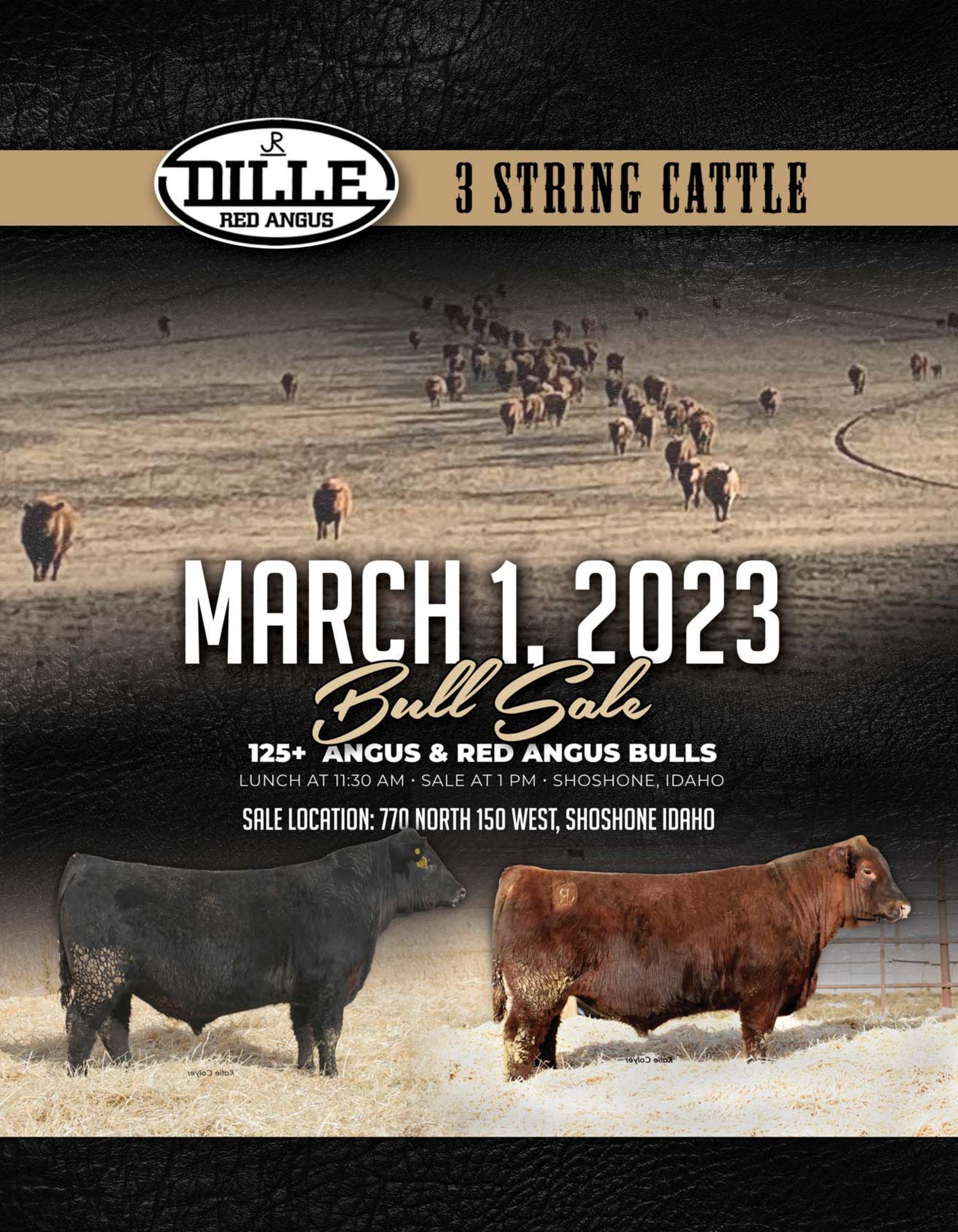 Dille Red Angus & 3 String Cattle 2023 Bull Sale by Ranch House Designs ...