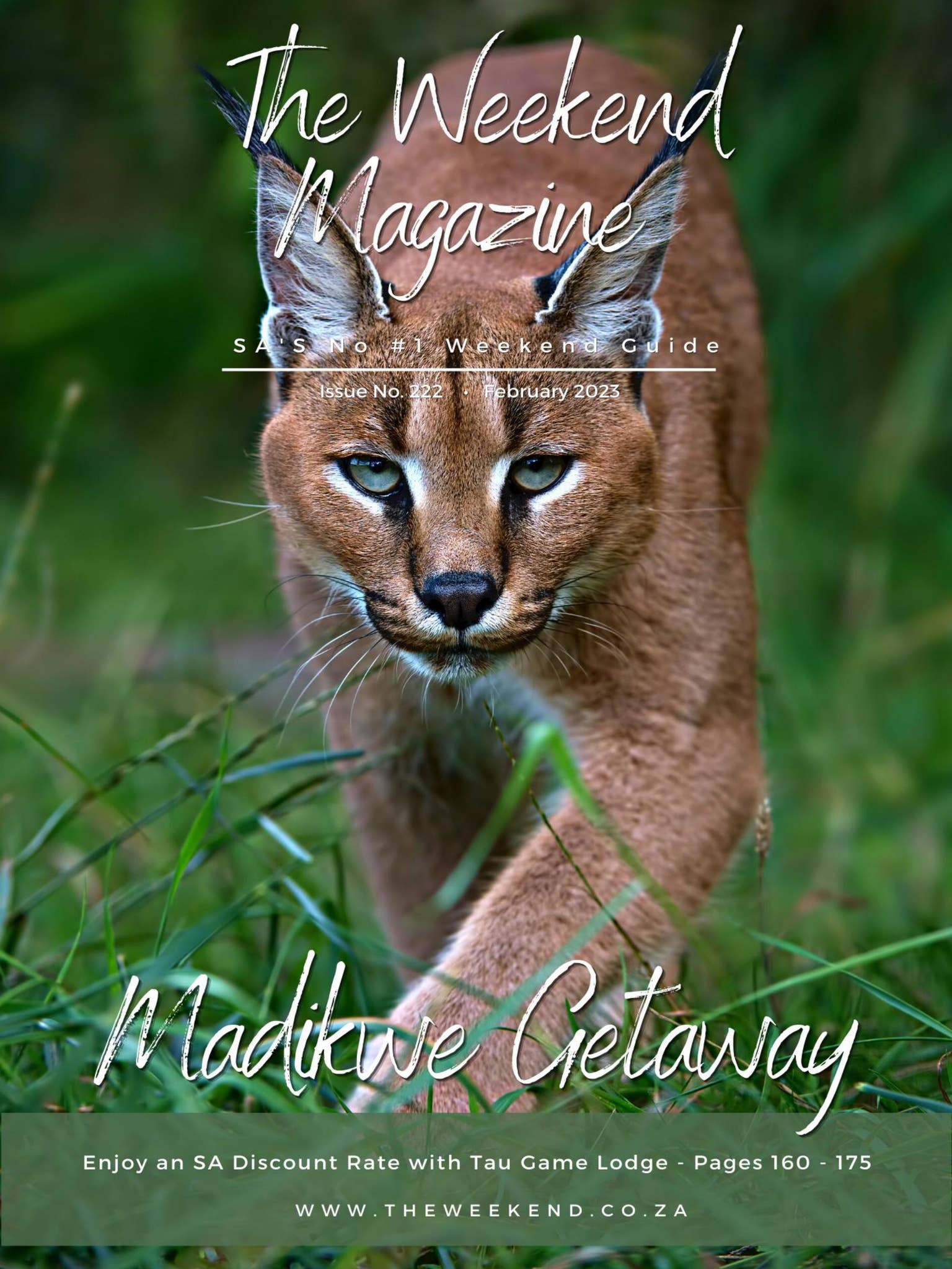 What's Happening on The Weekend | February 2023 by The Weekend Magazine ...