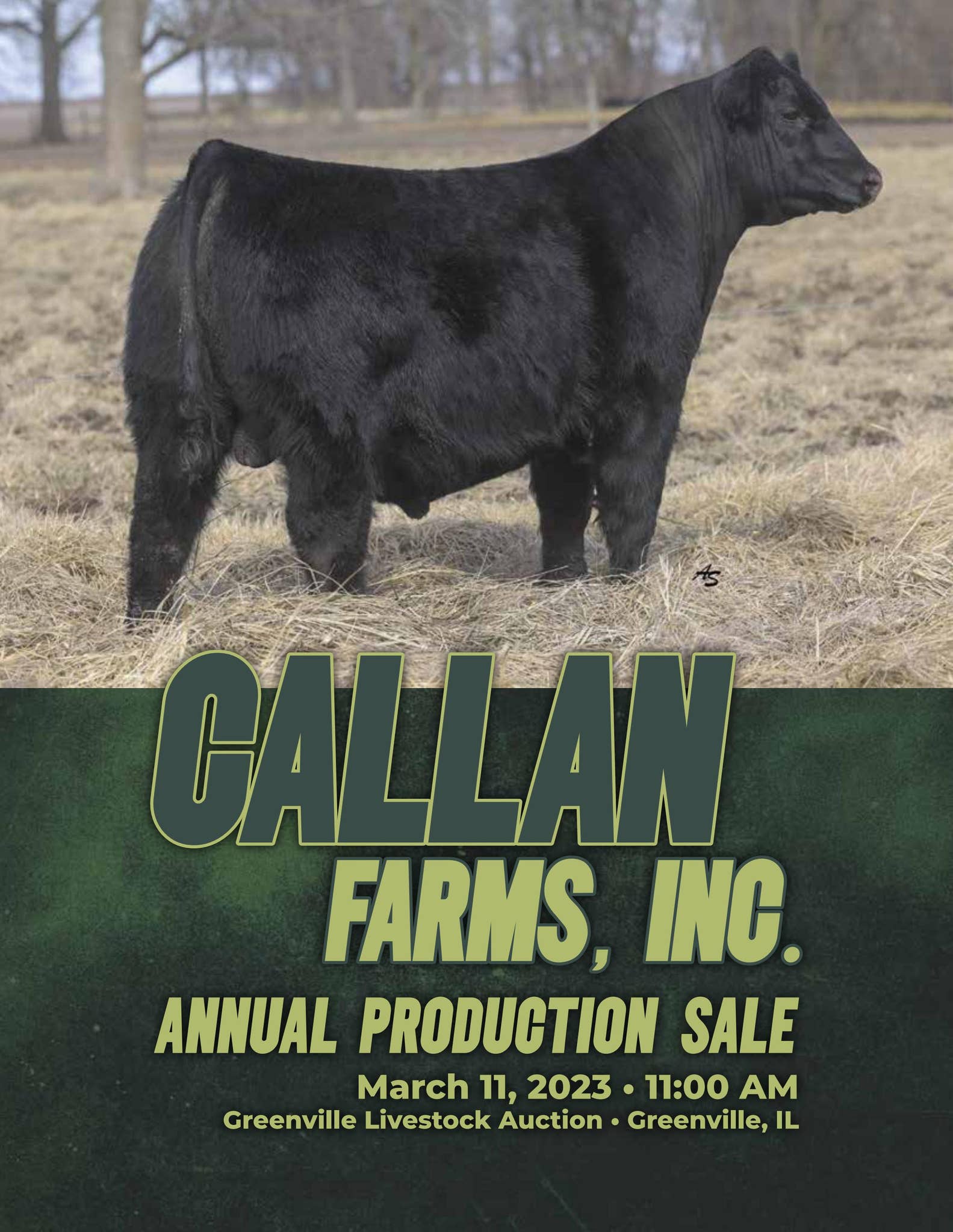 Callan Farms Annual Production Sale - 2023 by Generation 6 Marketing ...