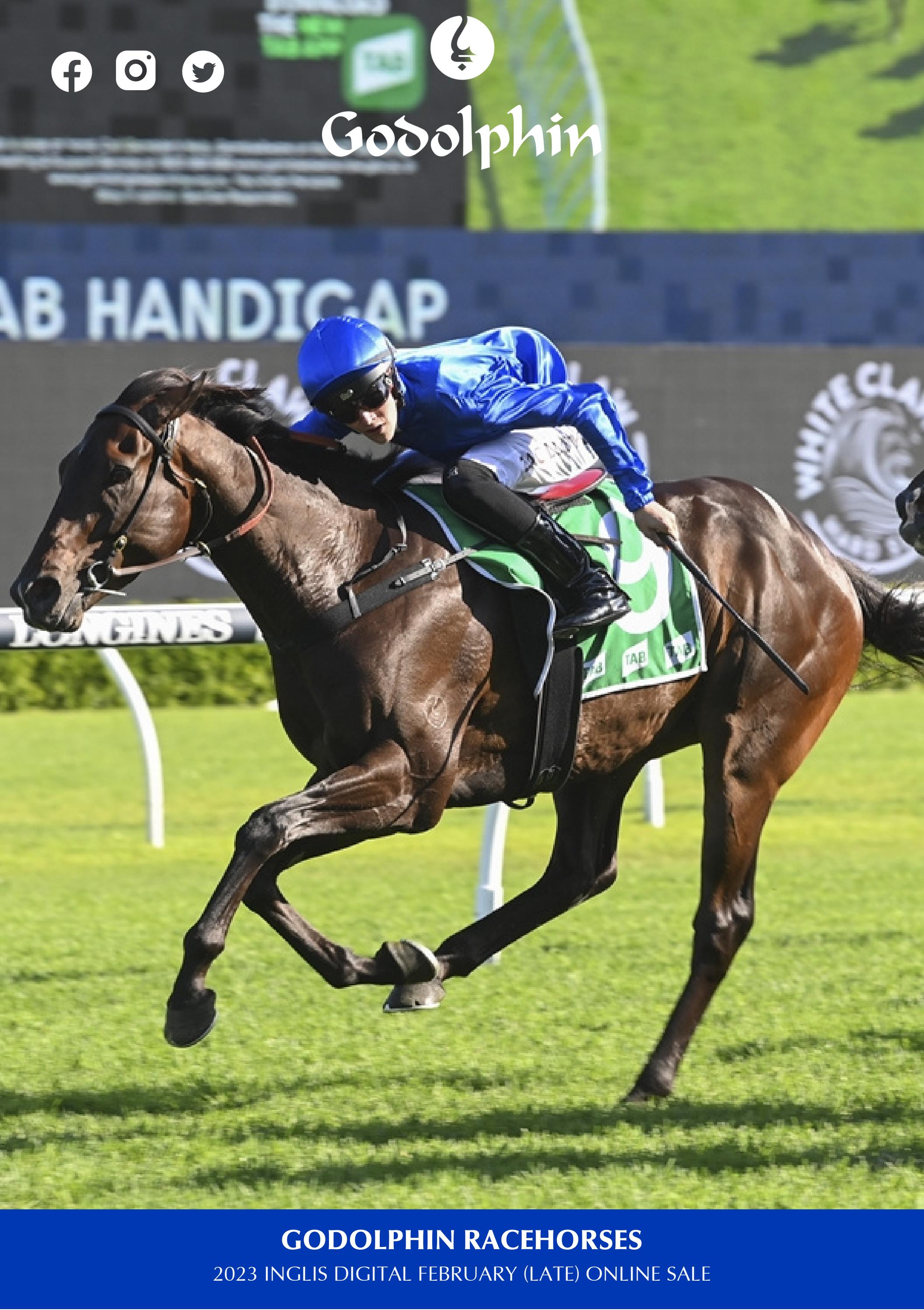 Godolphin Draft - 2023 FEB (Late) Online Sale by Inglis - Issuu