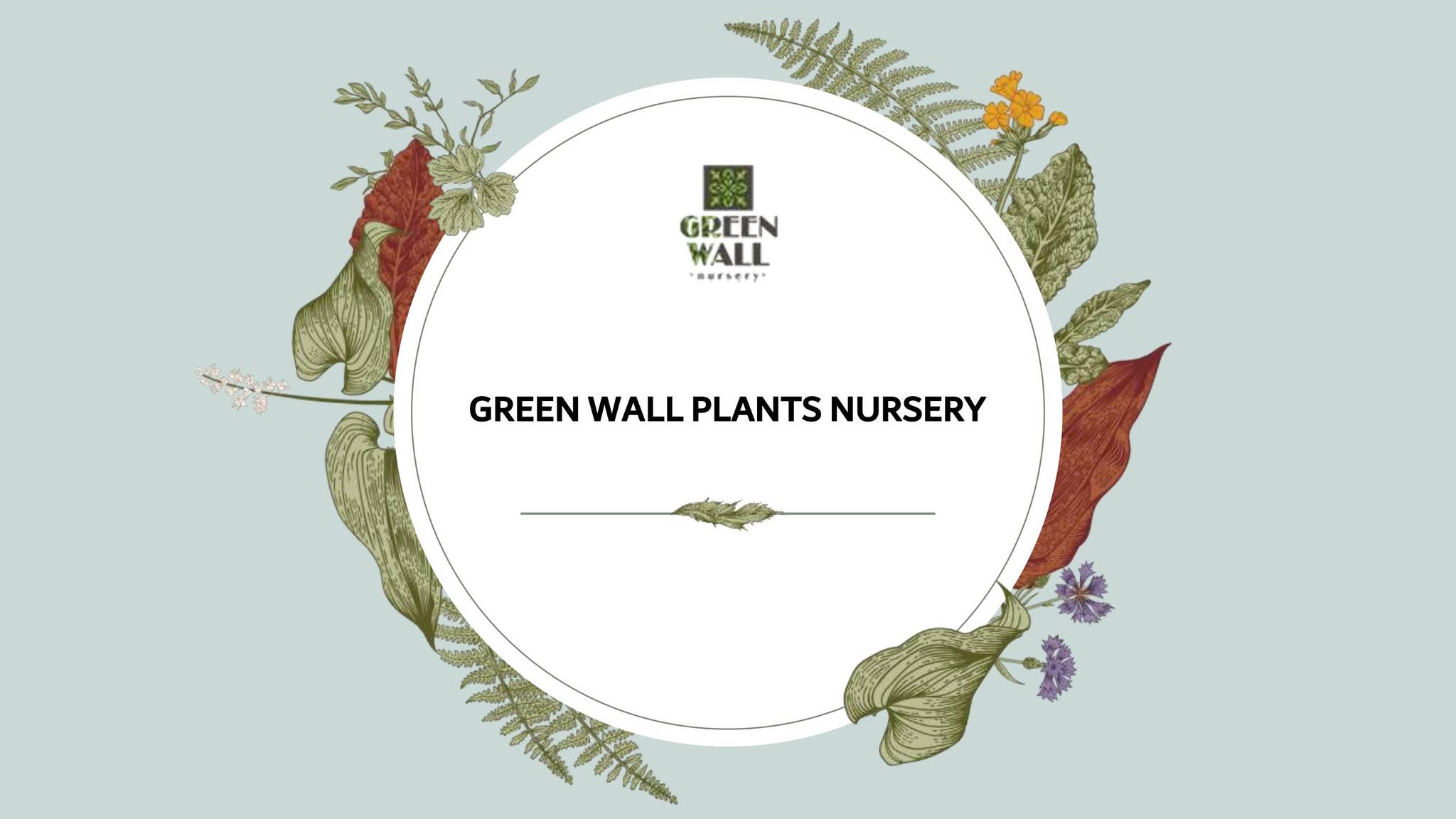 GREEN WALL PLANTS NURSERY by greenwall Nursery - Issuu