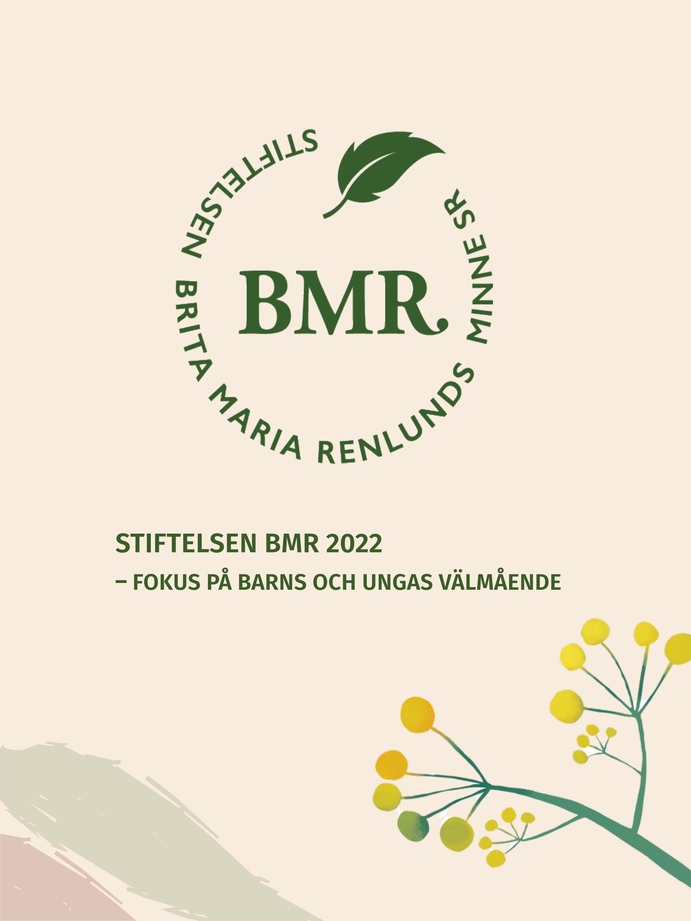 Stiftelsen BMR 2022 by stiftelsenBMR - Issuu