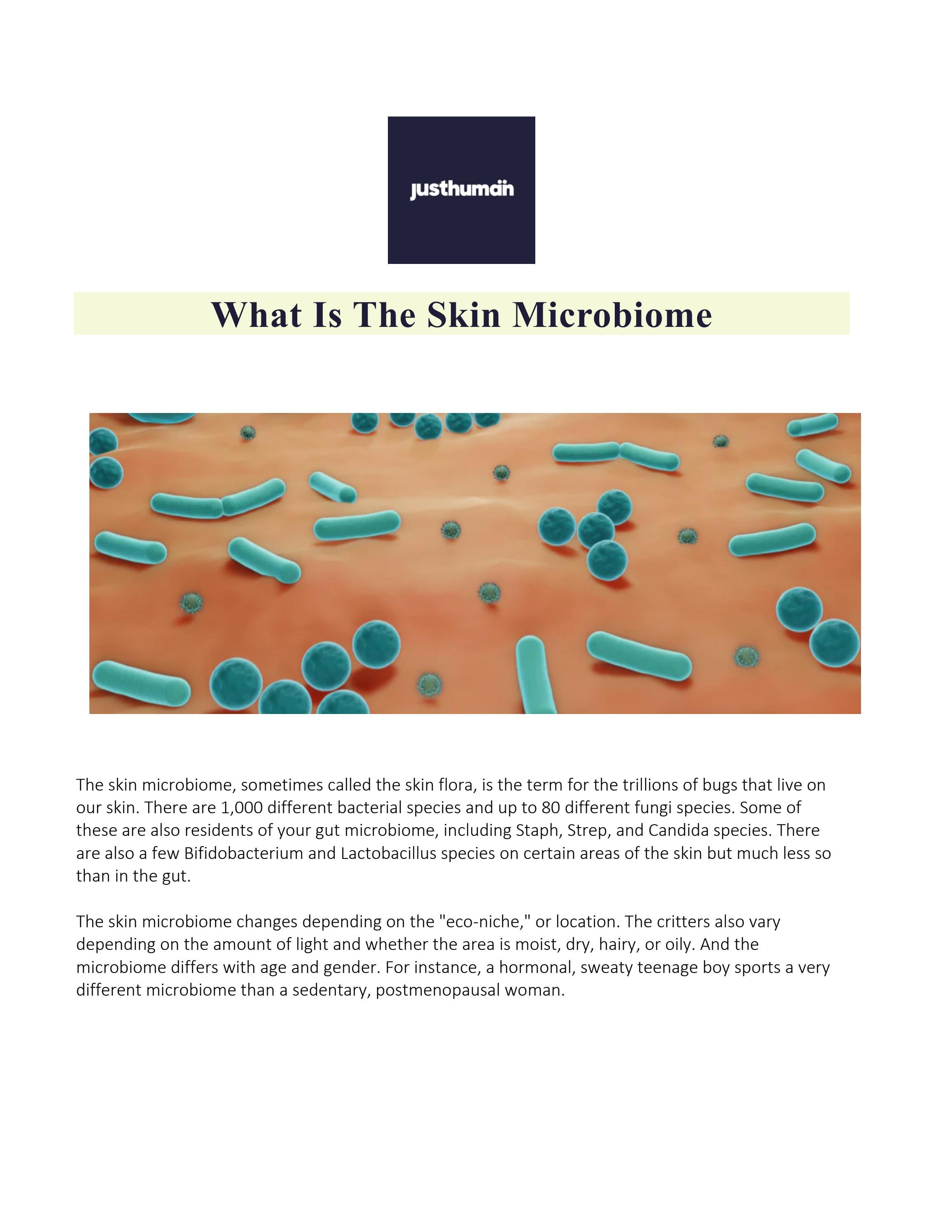 What Is The Skin Microbiome by Poonam Patel - Issuu