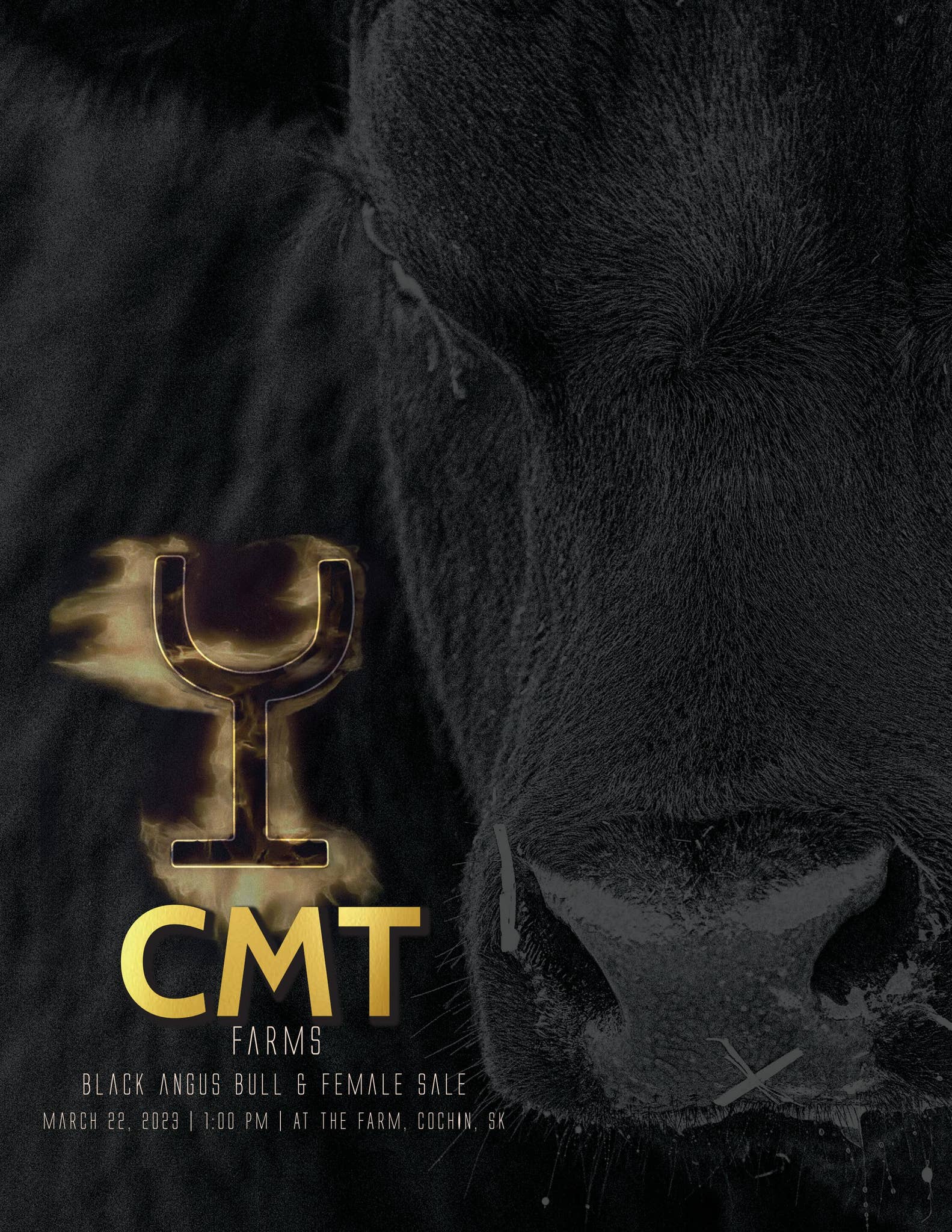 CMT Farms 2023 Black Angus Bull and Female Sale by Today's Publishing ...