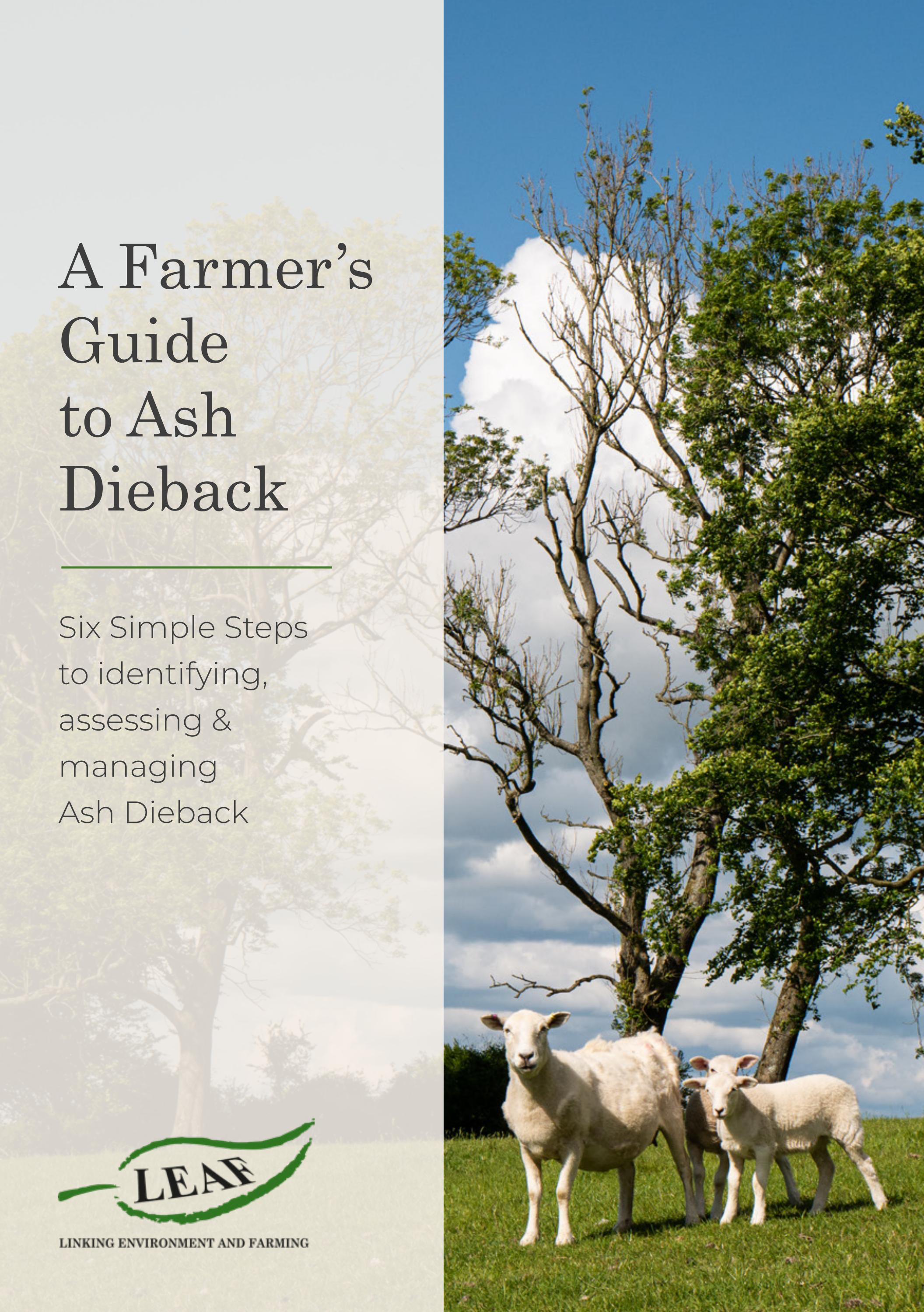 A Farmer's Guide to Ash Dieback by linking-environment-and-farming - Issuu