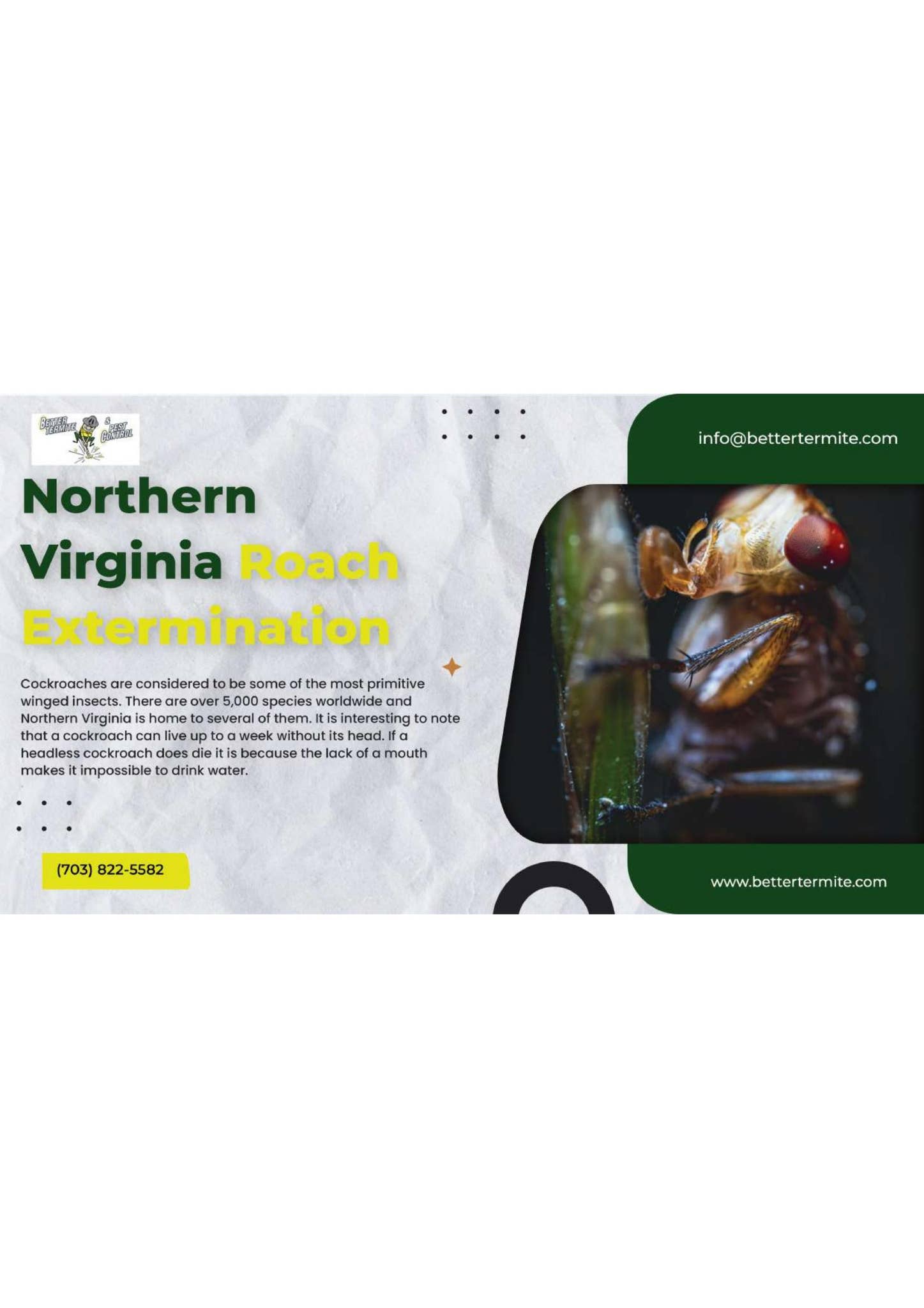 Northern Virginia Roach Extermination by Better termite - Issuu