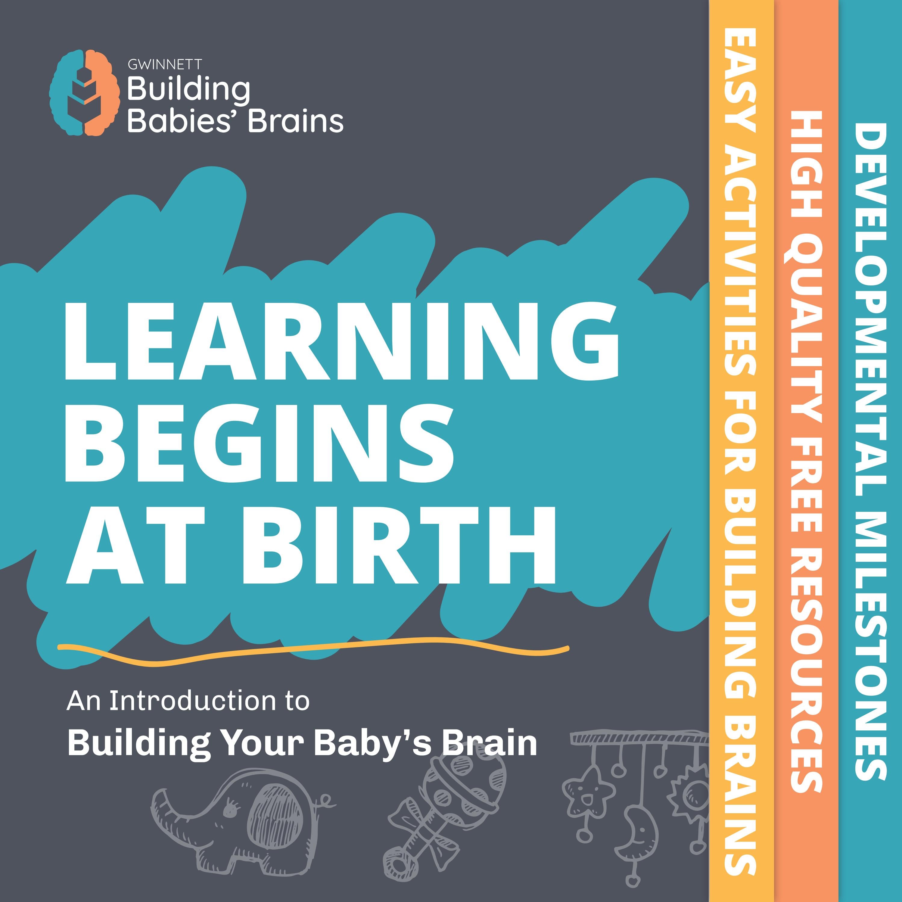 An Introduction to Building Your Baby's Brain - Gwinnett Building Babies' Brains by ...