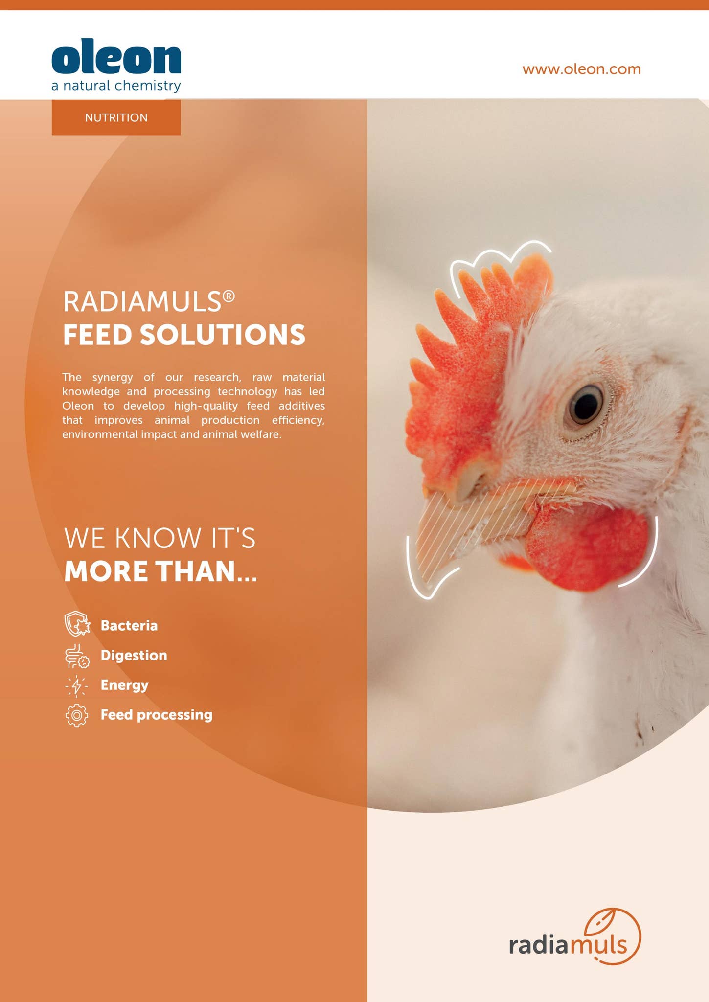 OLFE General Feed (English) by Oleon - Issuu