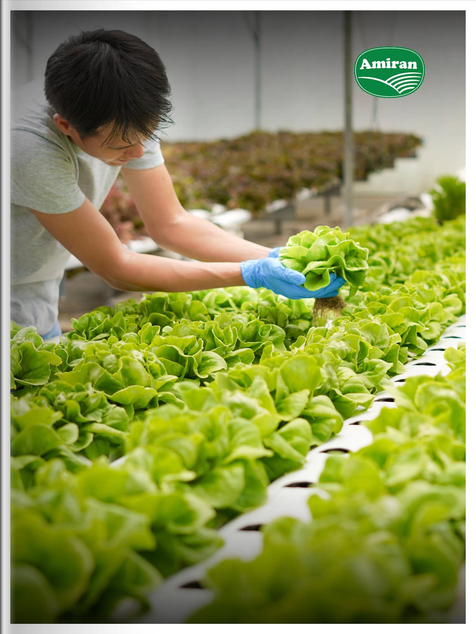 Amiran Kenya by Outlook Publishing - Issuu
