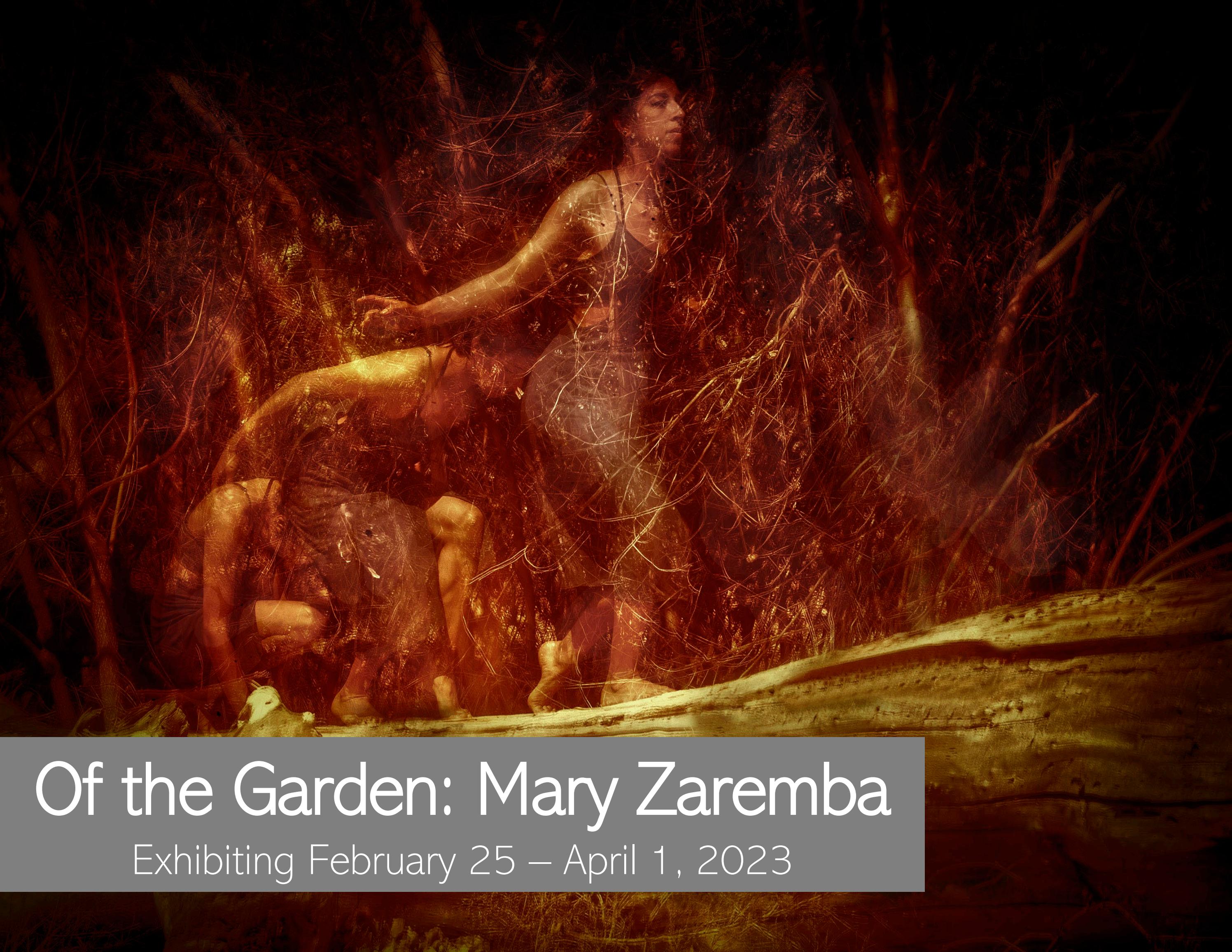 Of the Garden: Mary Zaremba by The Curated Creative Gallery - Issuu