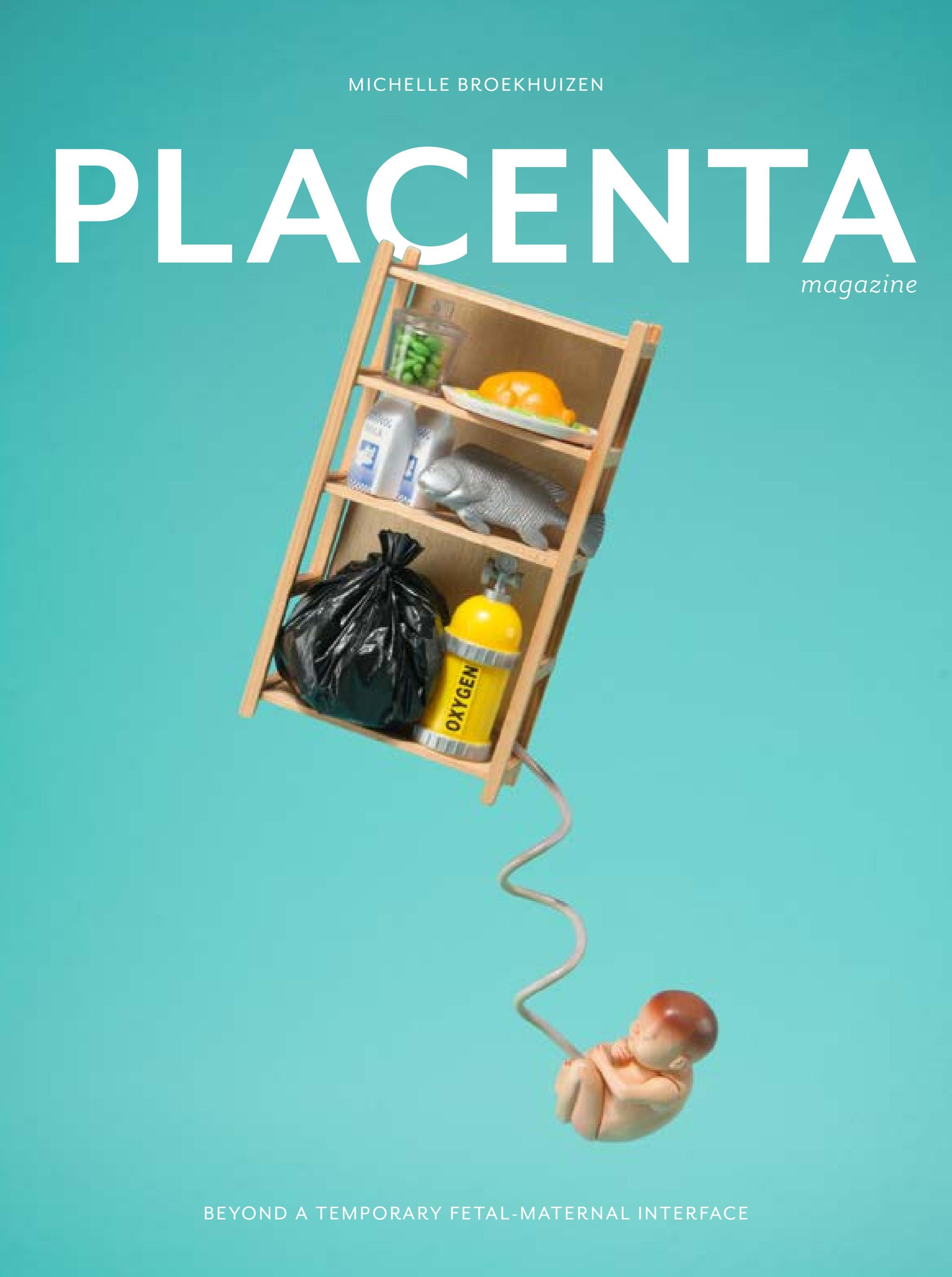 Placenta Magazine English by Michelle - Issuu