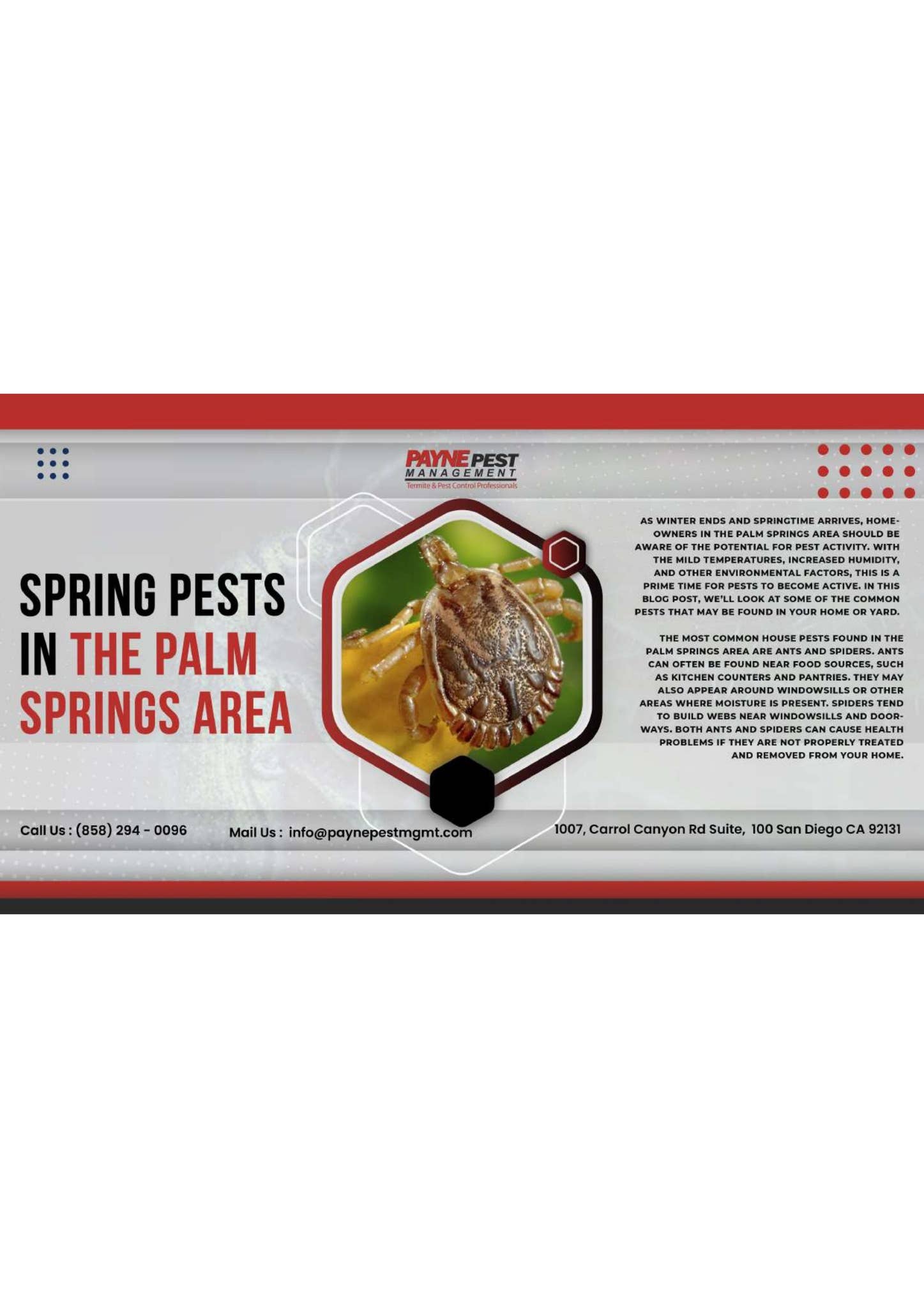 Orange County Pest Control | San diego Pest Inspection by Payne pest ...