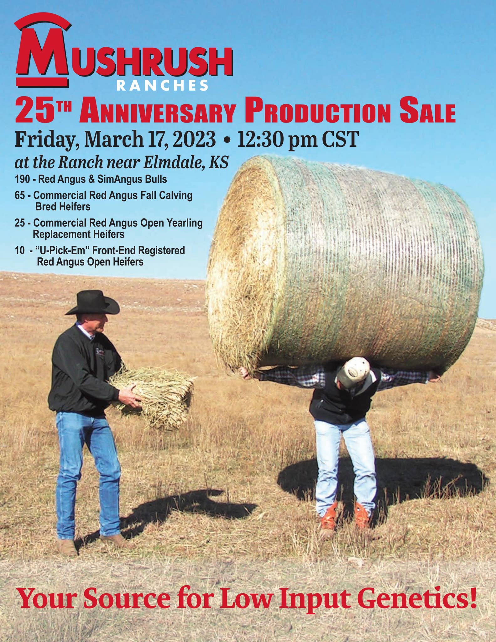 Mushrush Red Angus - 2023 Spring Sale Catalog by LivestockDirect - Issuu