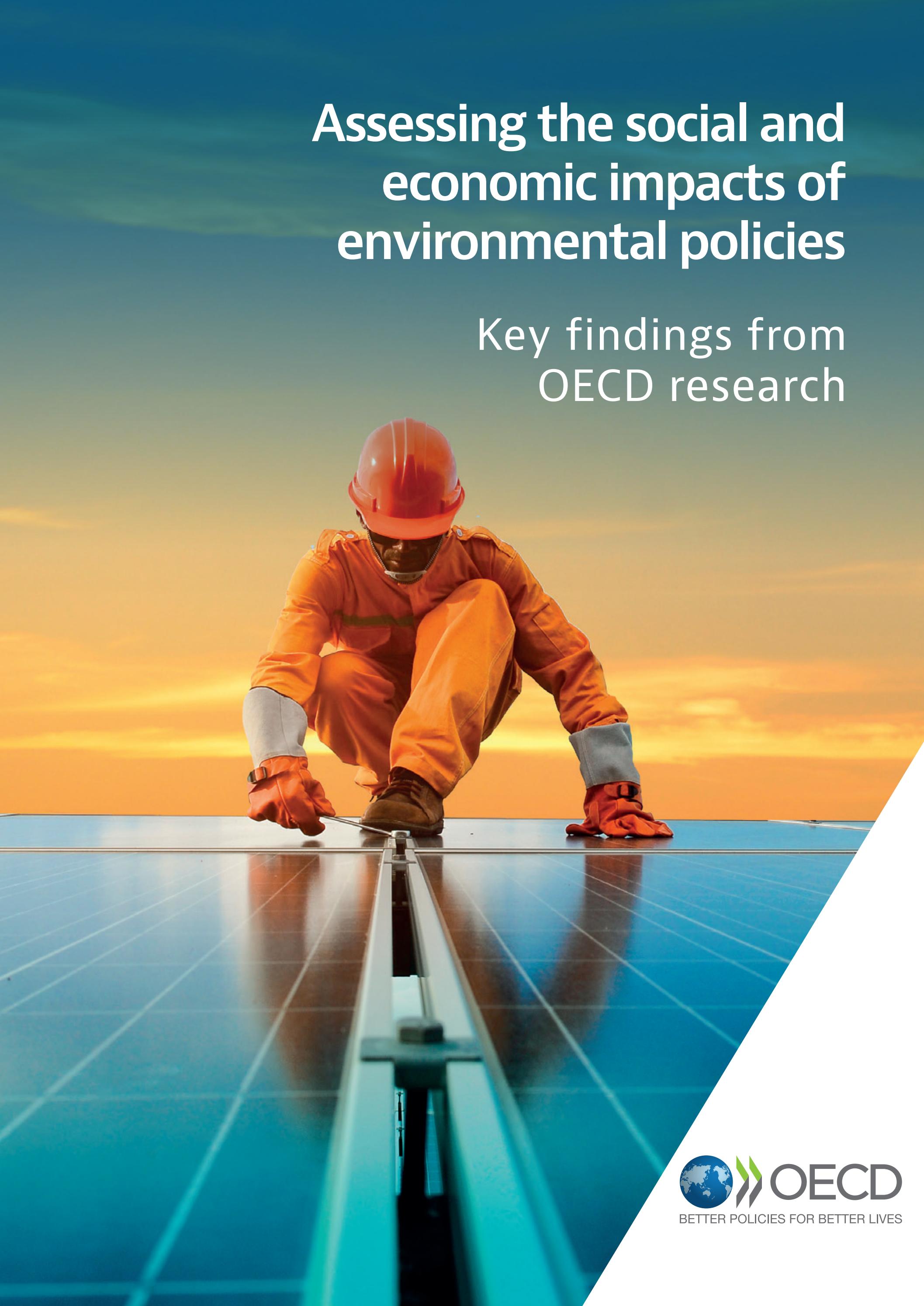 Assessing the social and economic impacts of environmental policies by ...