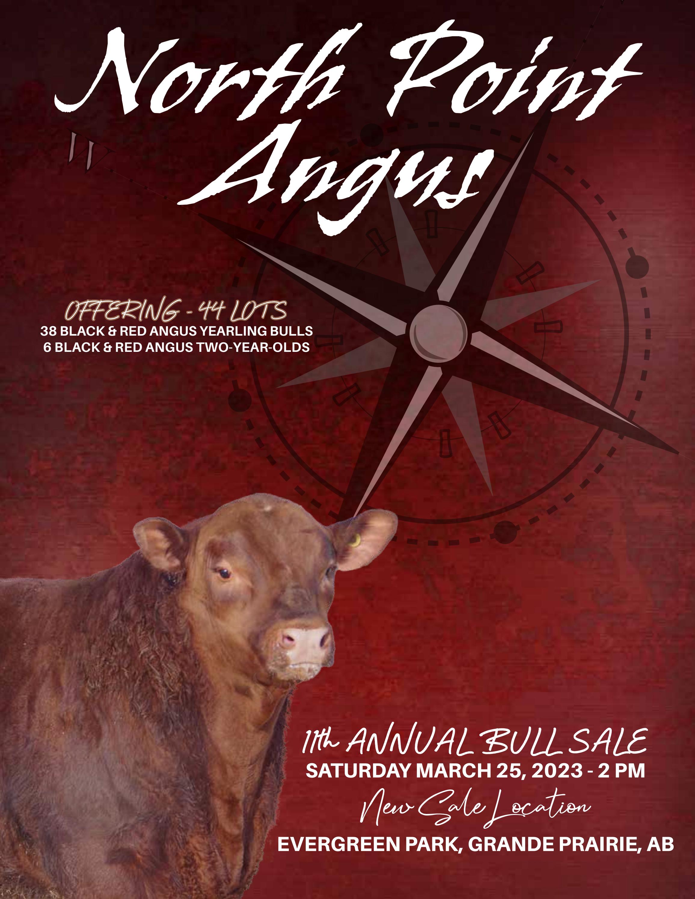 North Point Angus Bull Sale 2023 by KendraFisherDESIGNS - Issuu