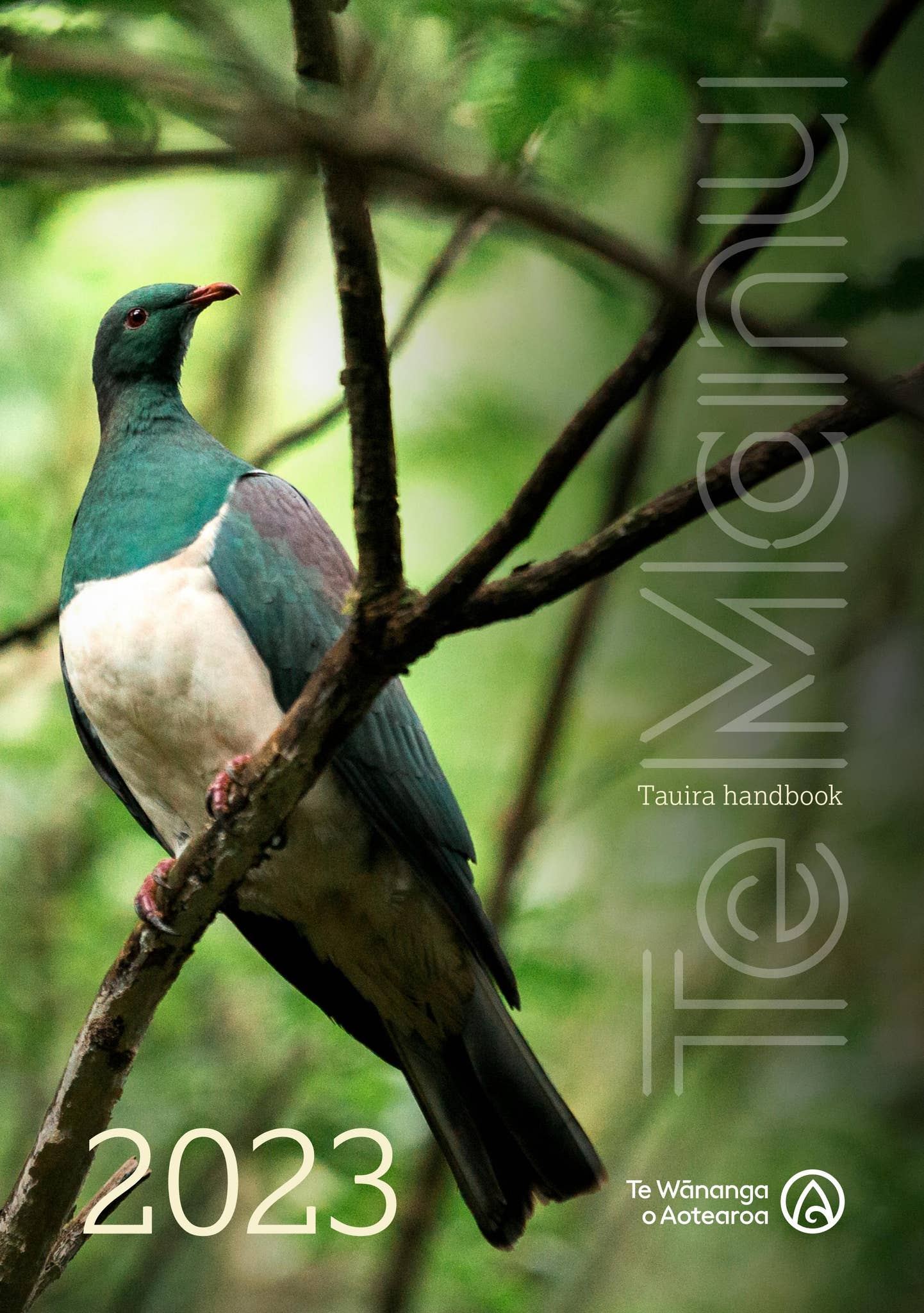 Te Manu Tauira Handbook 2023 by Te Wananga o Aotearoa - Issuu