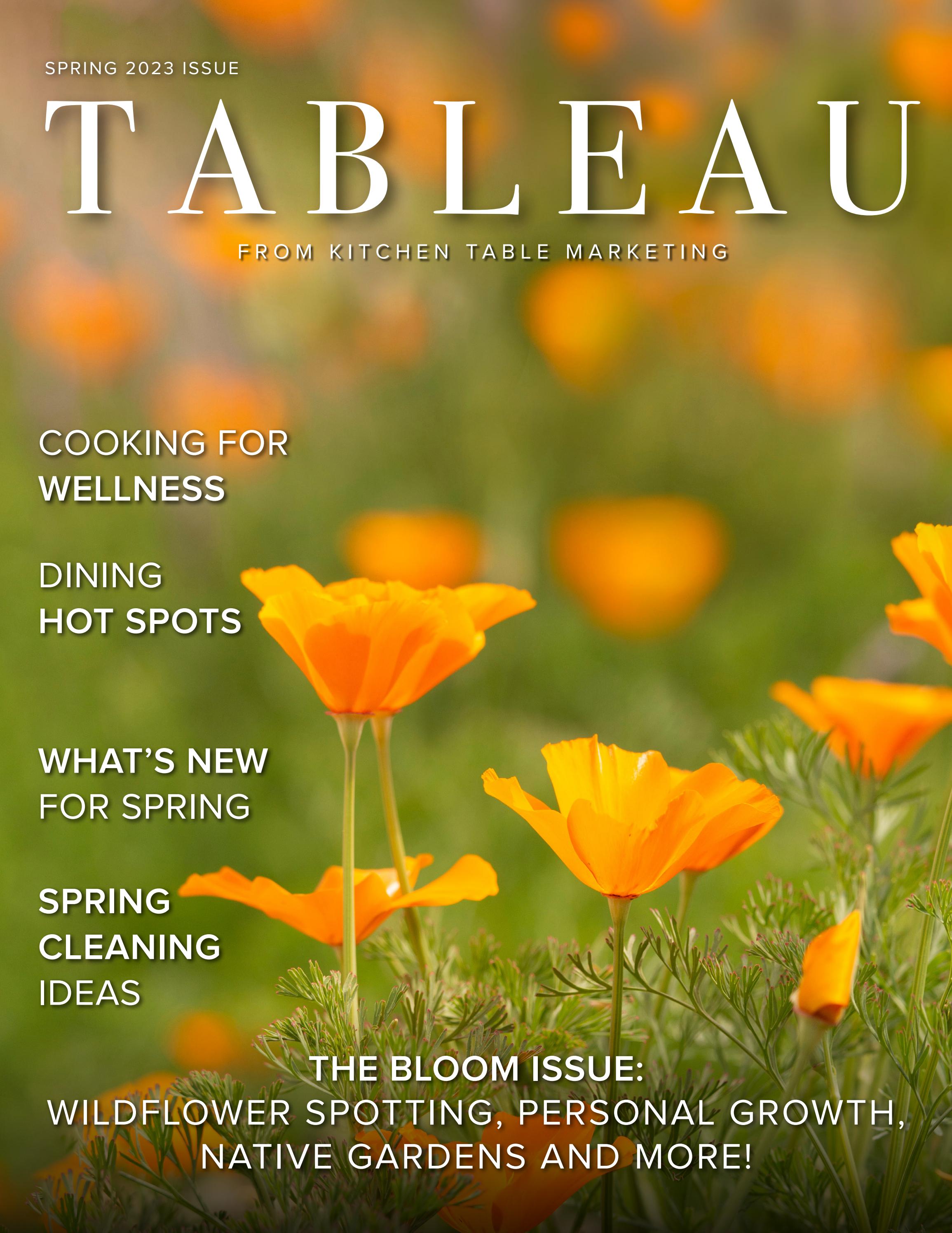 Tableau - 2023 Spring Issue by Tableau Magazine - Issuu