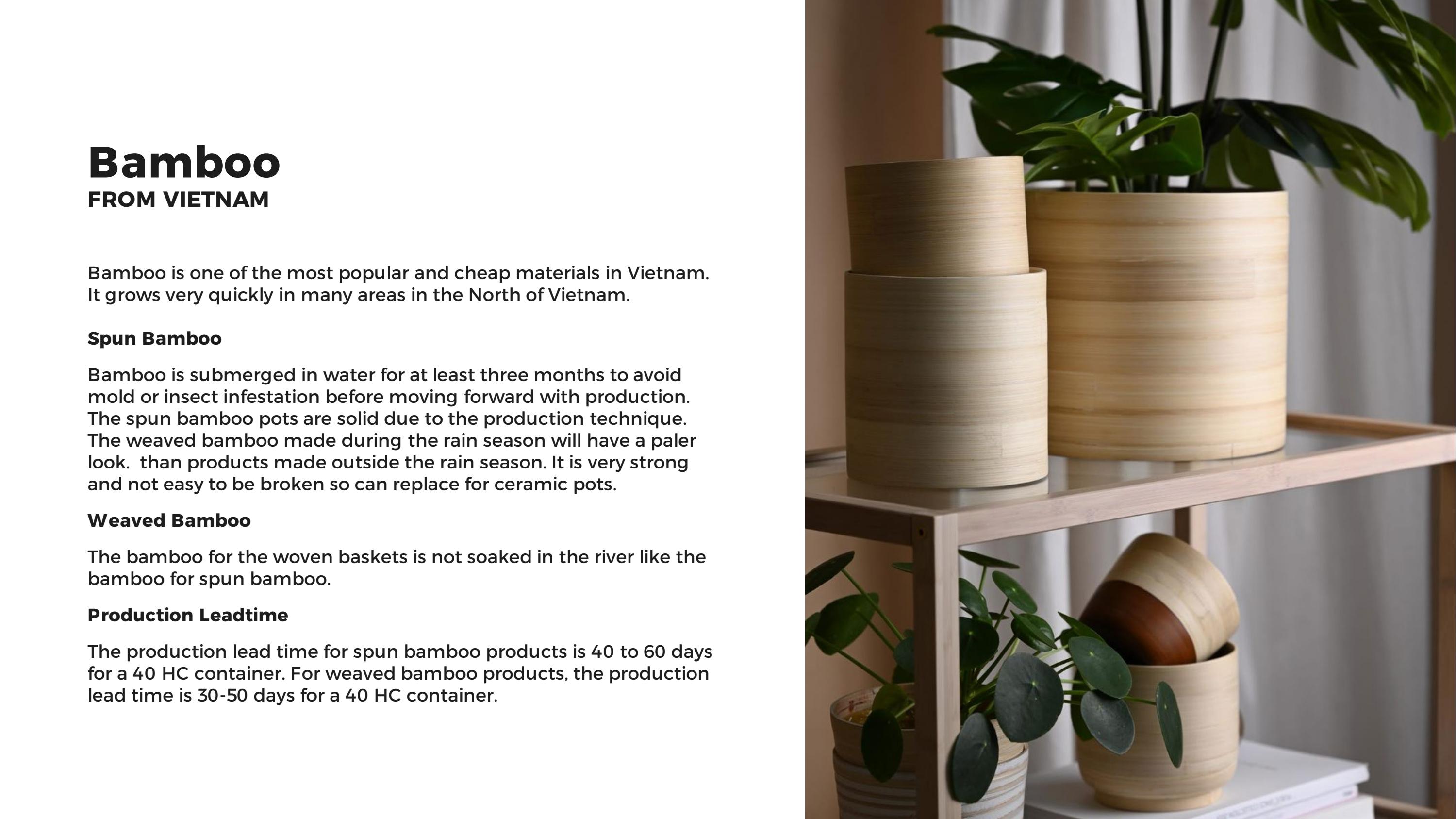 Bamboo from Vietnam by Dymak - Issuu