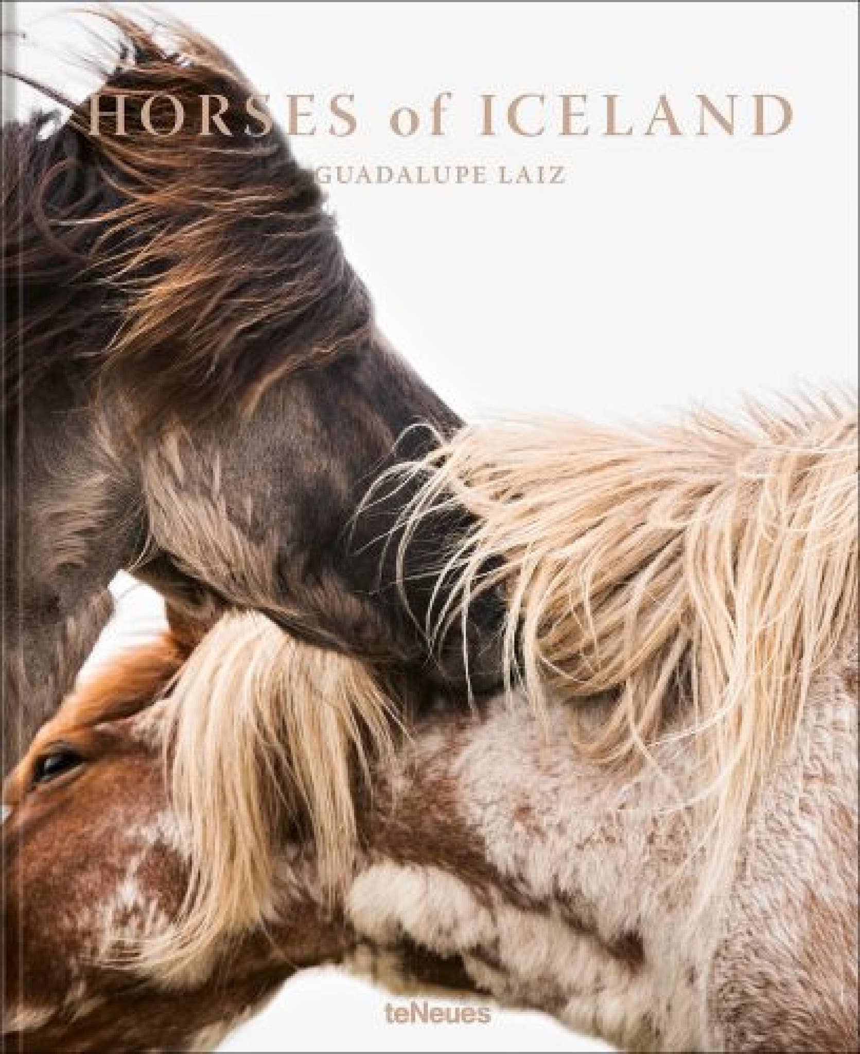 Horses of Iceland by ACC Art Books - Issuu