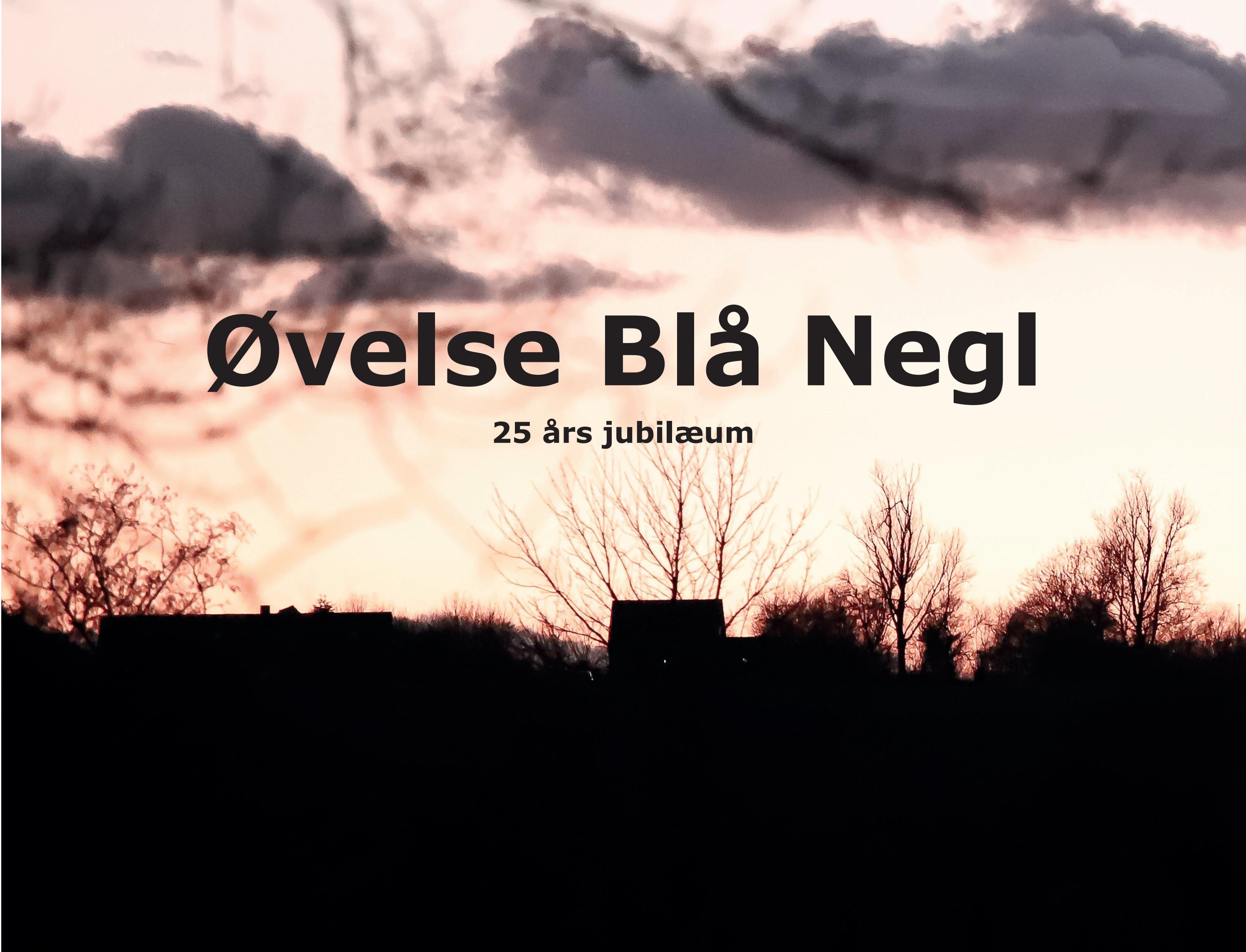 Øvelse Blå Negl: 25 års jubilæum by Hjemmeværnskommandoen - Issuu